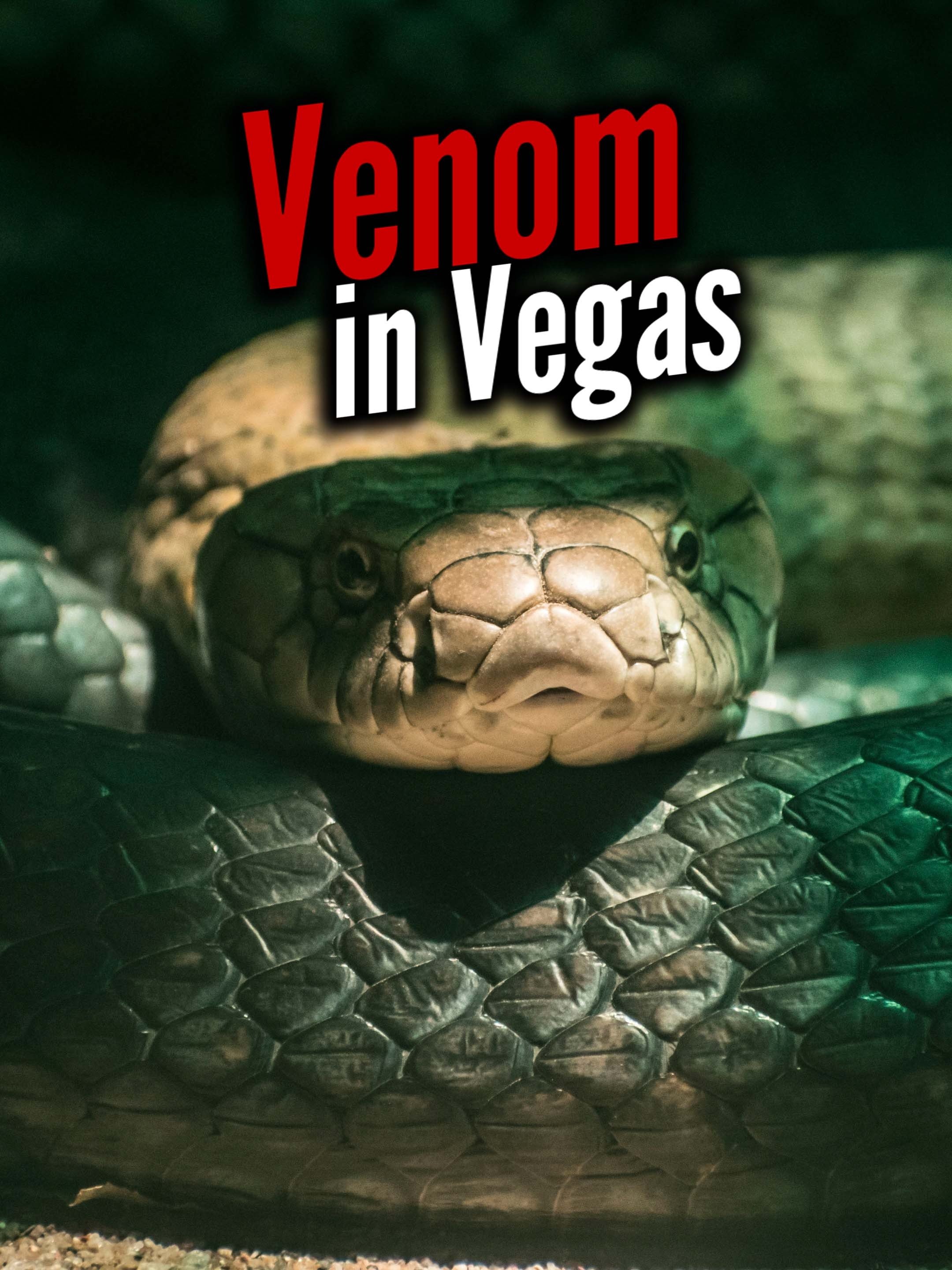 Venom in Vegas Pictures - Rotten Tomatoes
