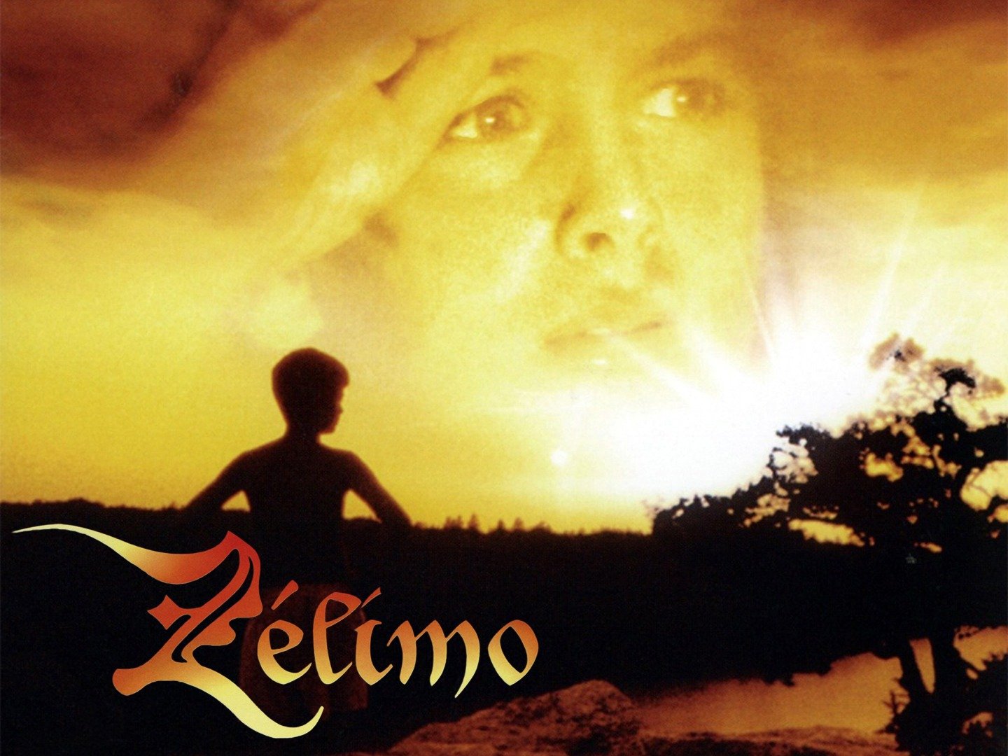 Zelimo (2001) - Rotten Tomatoes