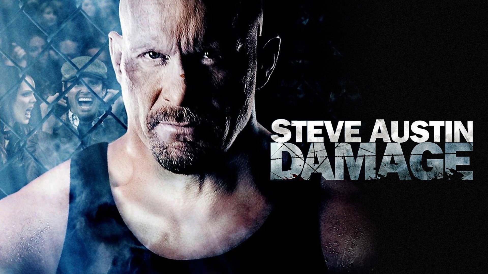 Stone Cold Steve Austin Damage