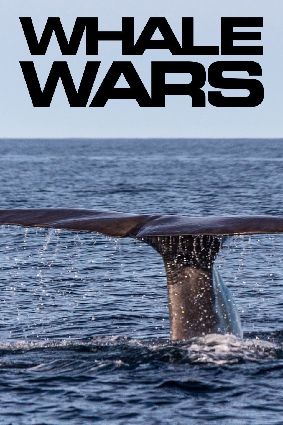 Whale Wars - Rotten Tomatoes