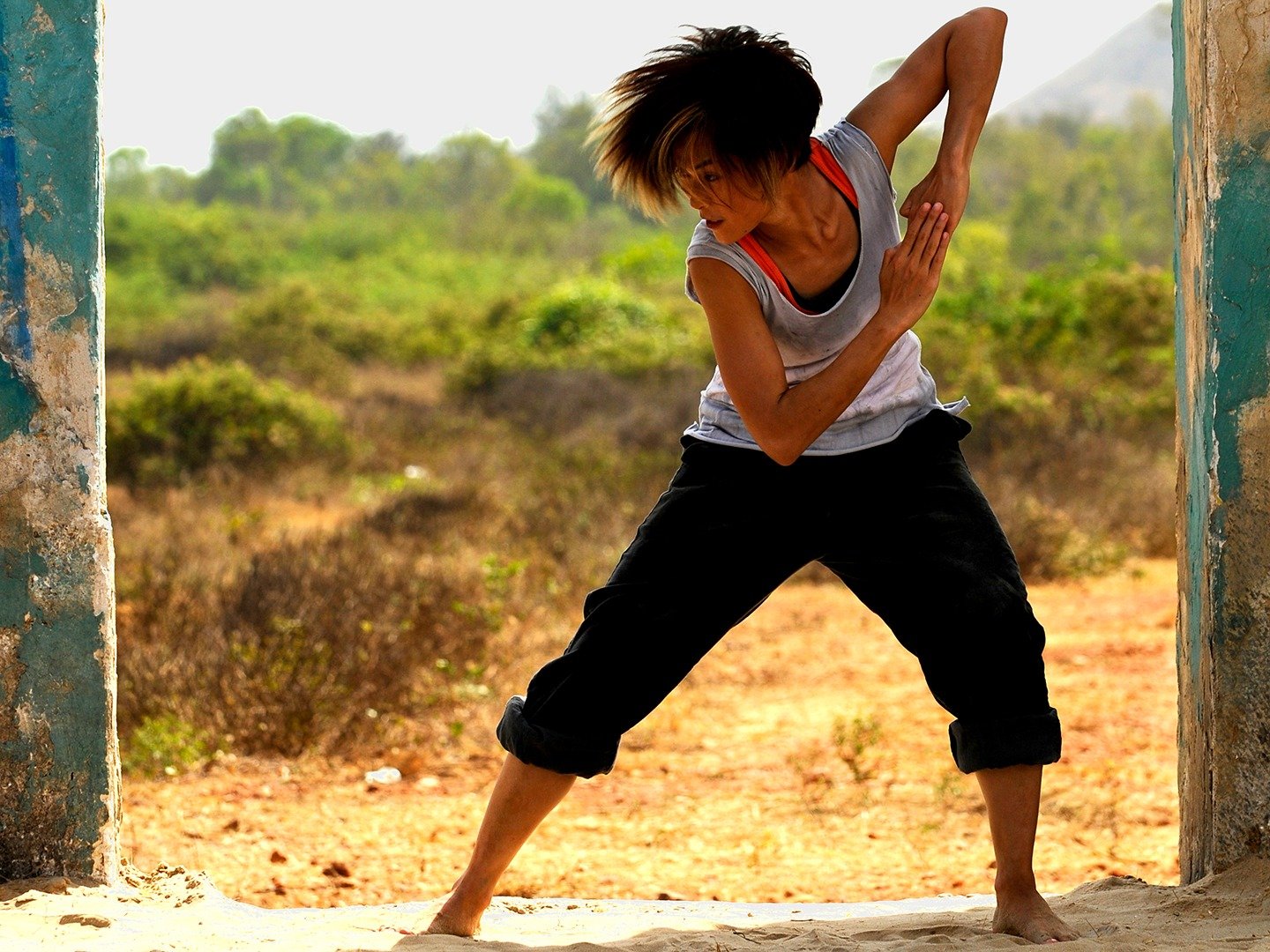 Raging Phoenix Sanim