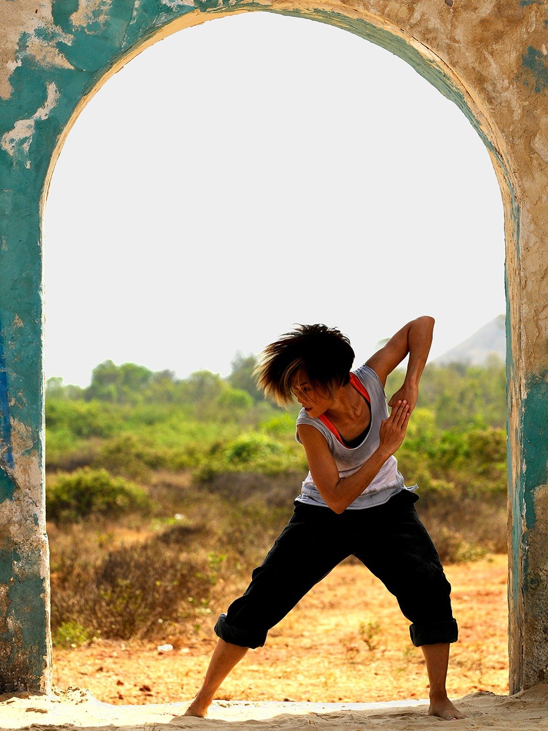 Raging Phoenix Sanim