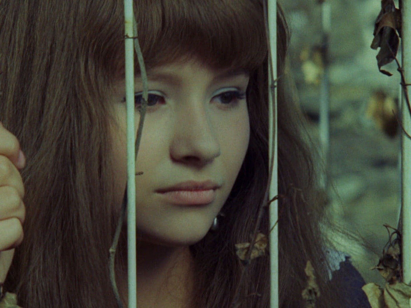 Judy Berman's Instagram, Twitter & Facebook on IDCrawl