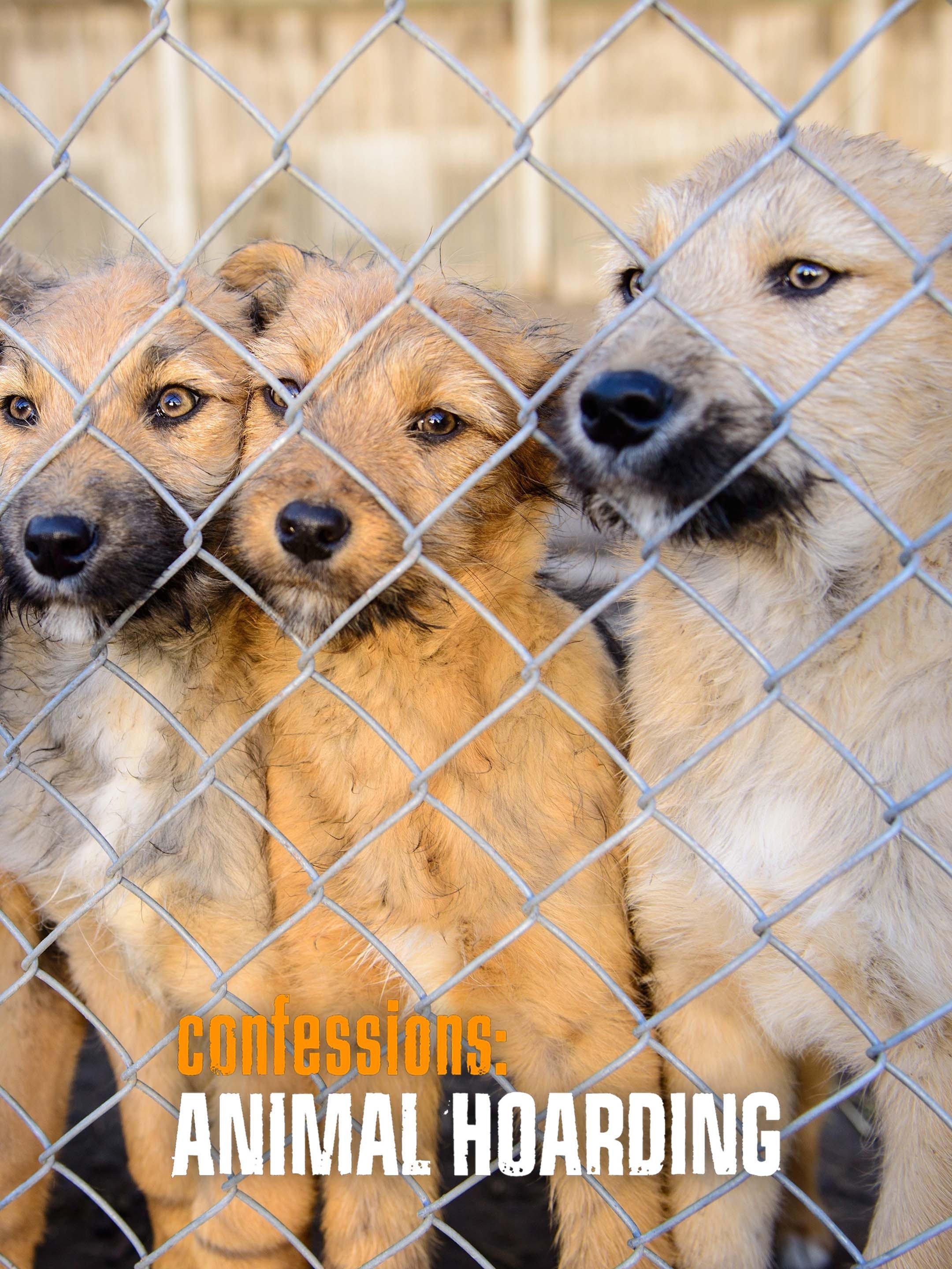 Confessions: Animal Hoarding - Rotten Tomatoes