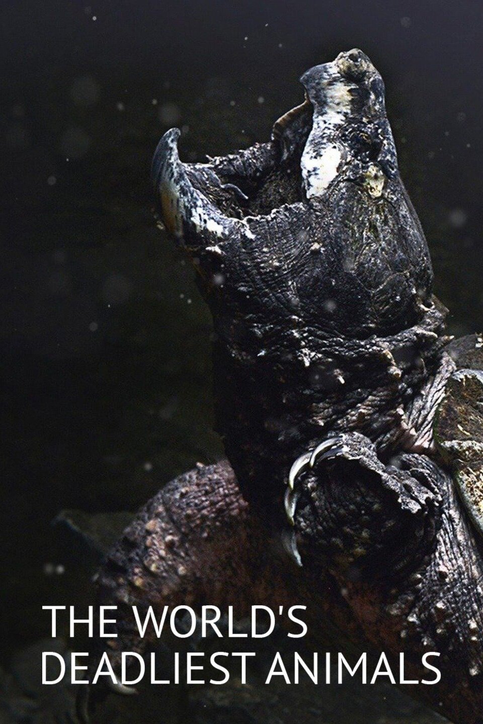The World's Deadliest Animals - Rotten Tomatoes