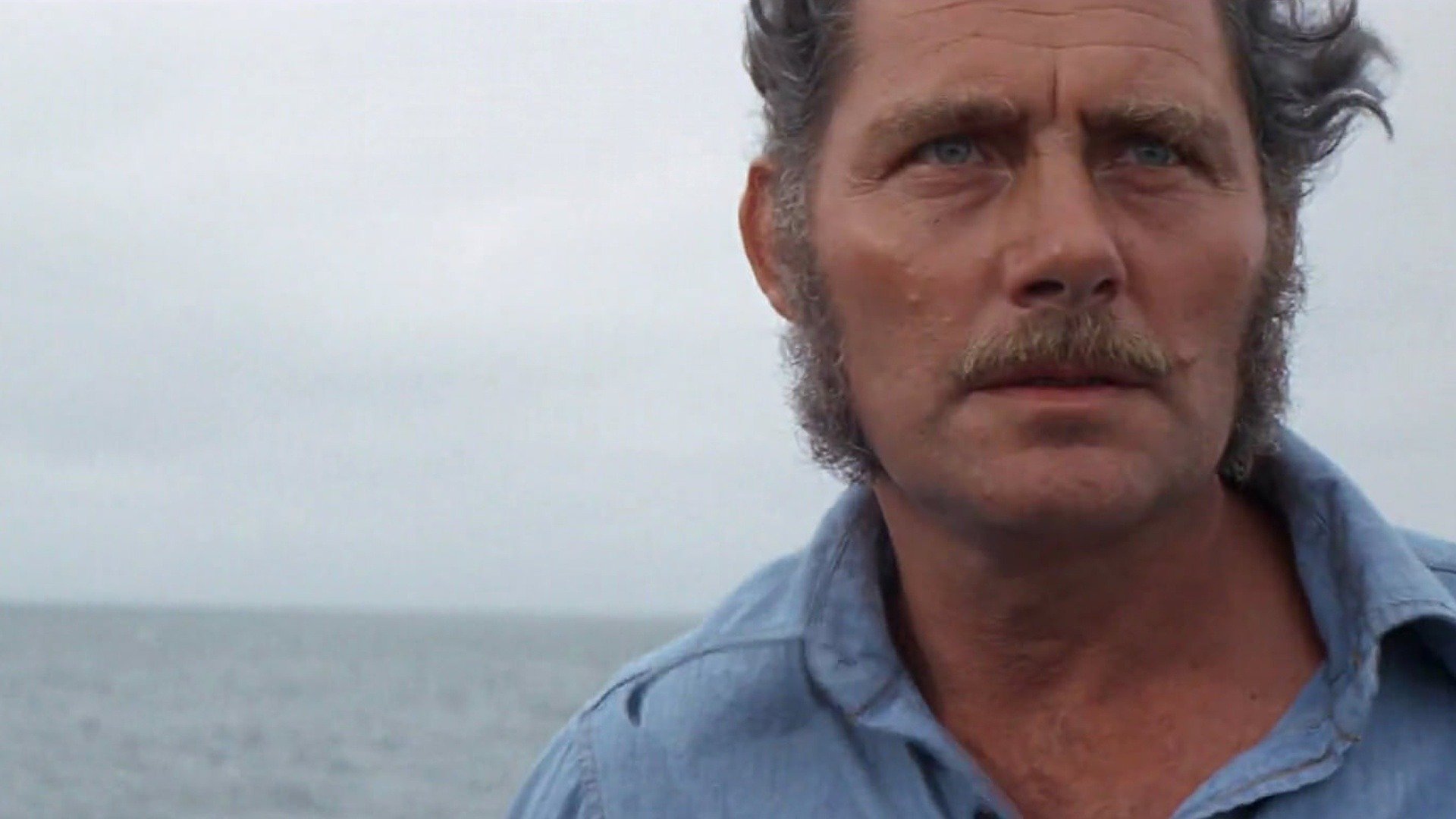 Chris Rebello's Instagram, Twitter & Facebook on IDCrawl