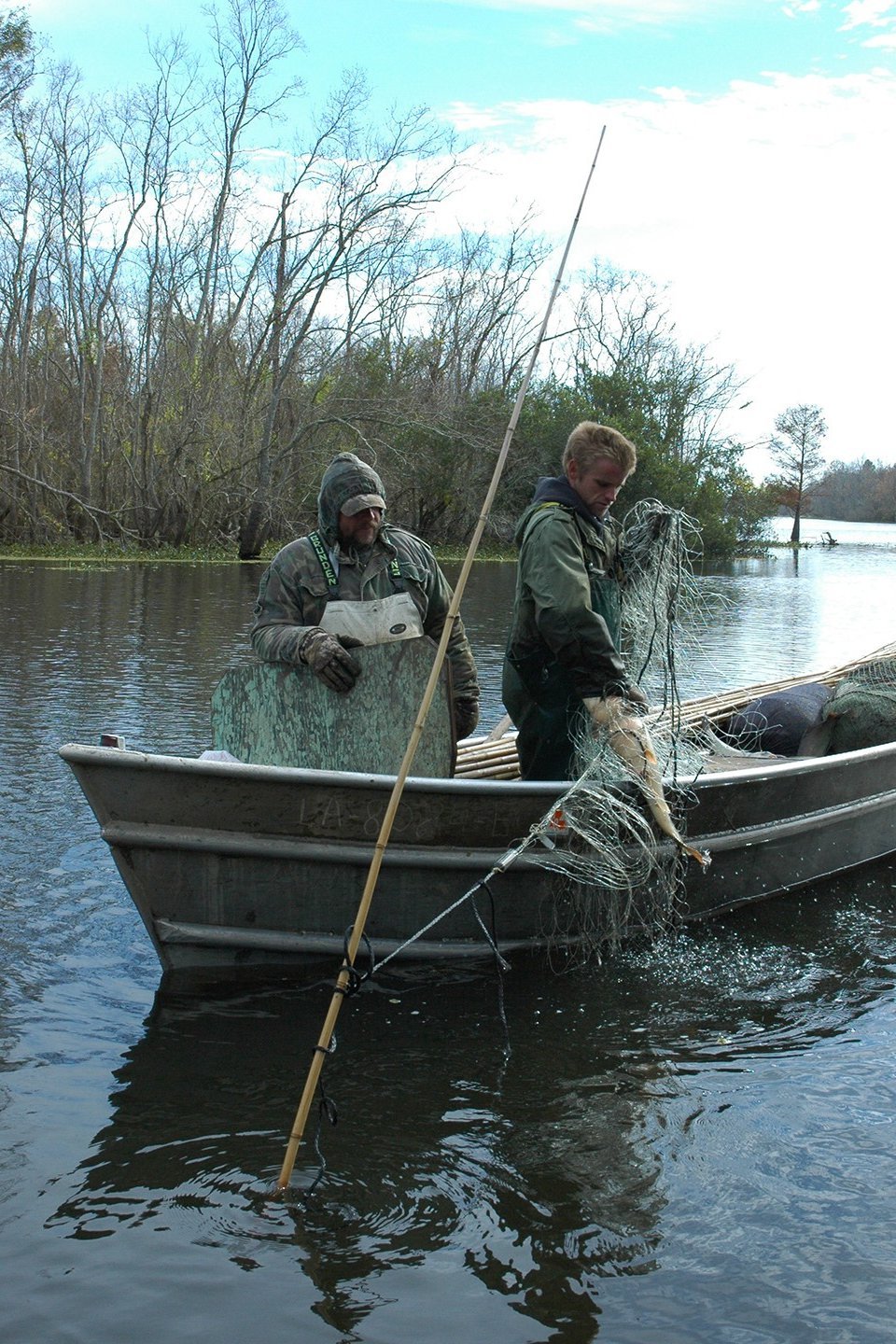Gator Voodoo Pictures - Rotten Tomatoes