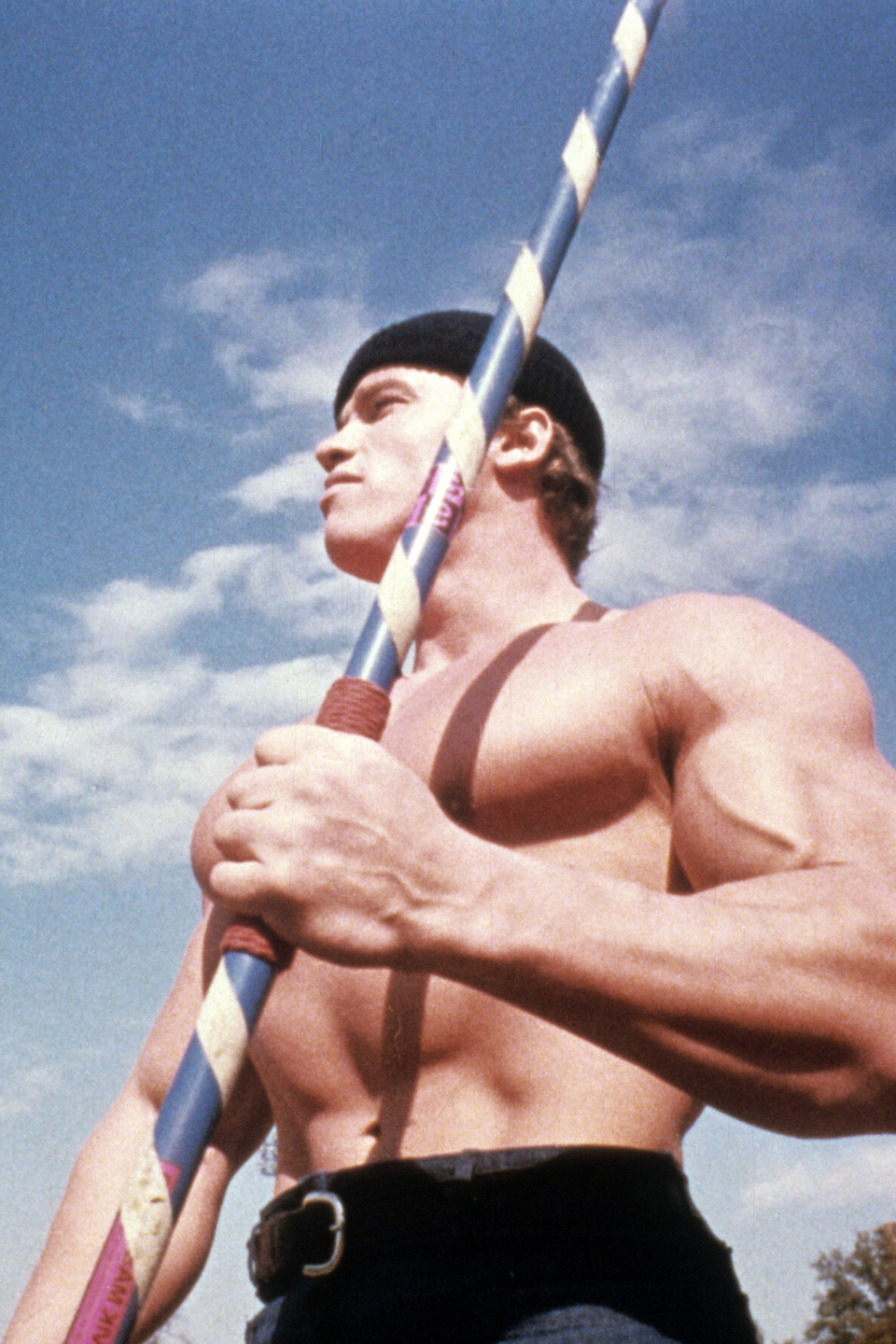 Arnold Schwarzenegger Hercules