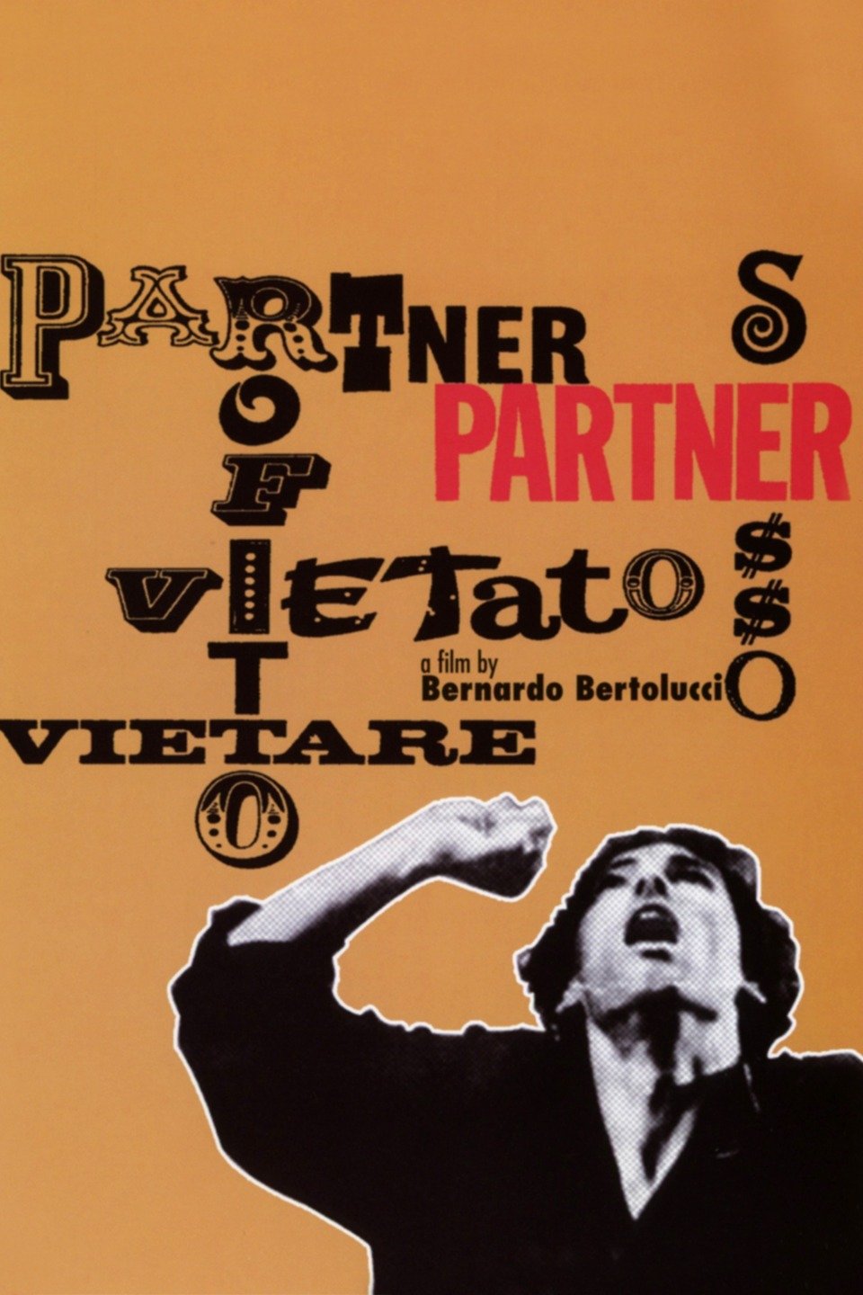 Partner - Rotten Tomatoes