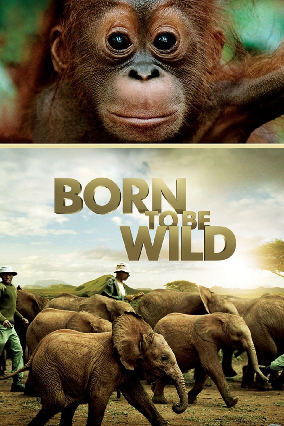 Born to Be Wild - Rotten Tomatoes