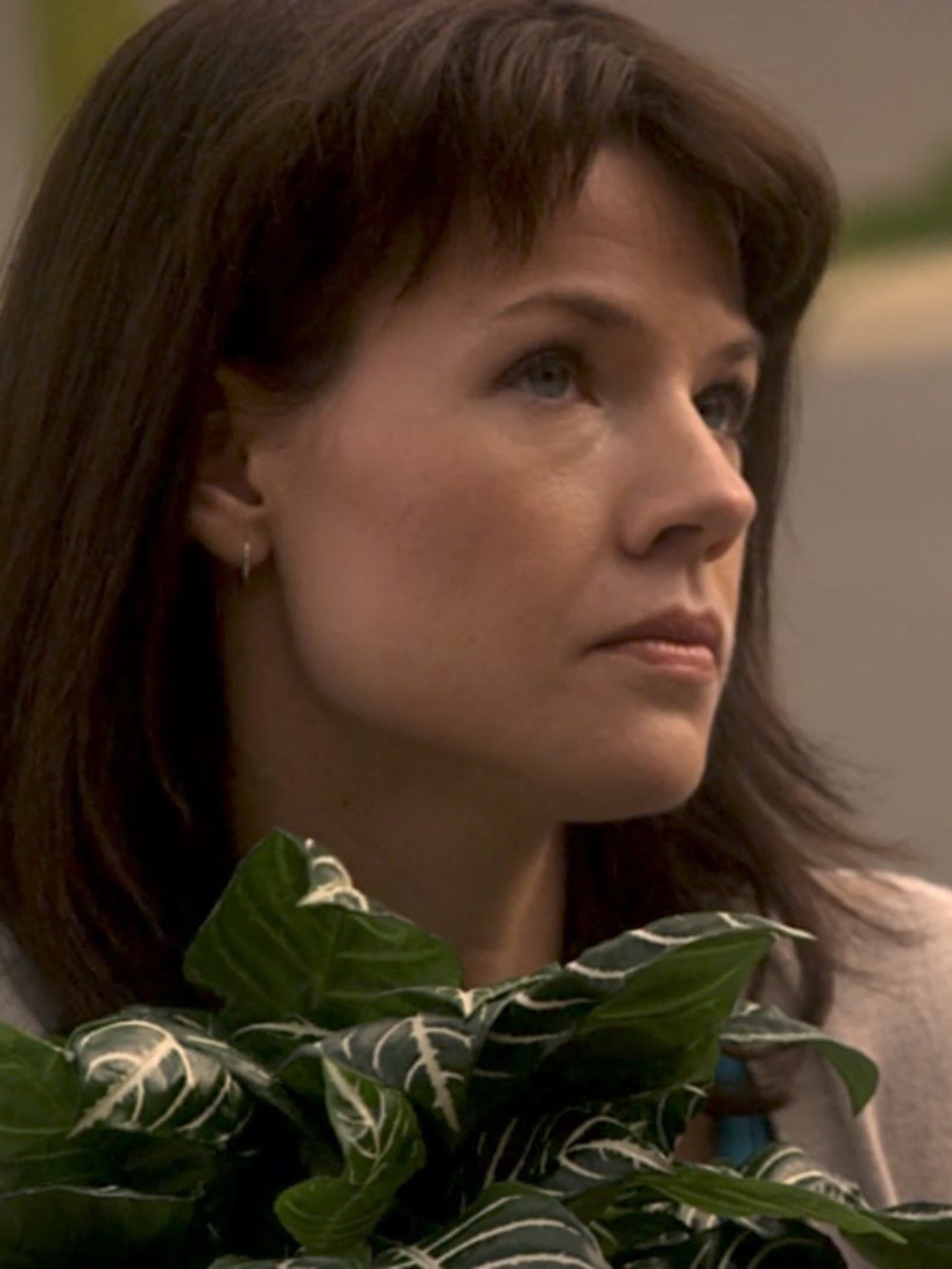 Hail Mary Pictures - Rotten Tomatoes