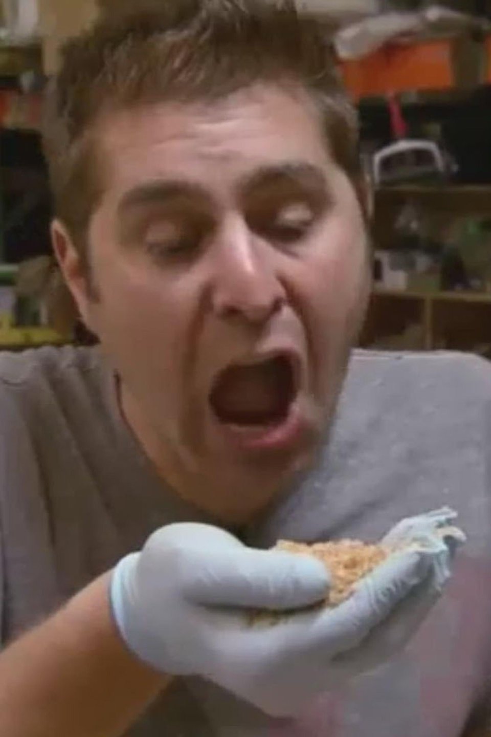 Bug Special Pictures - Rotten Tomatoes