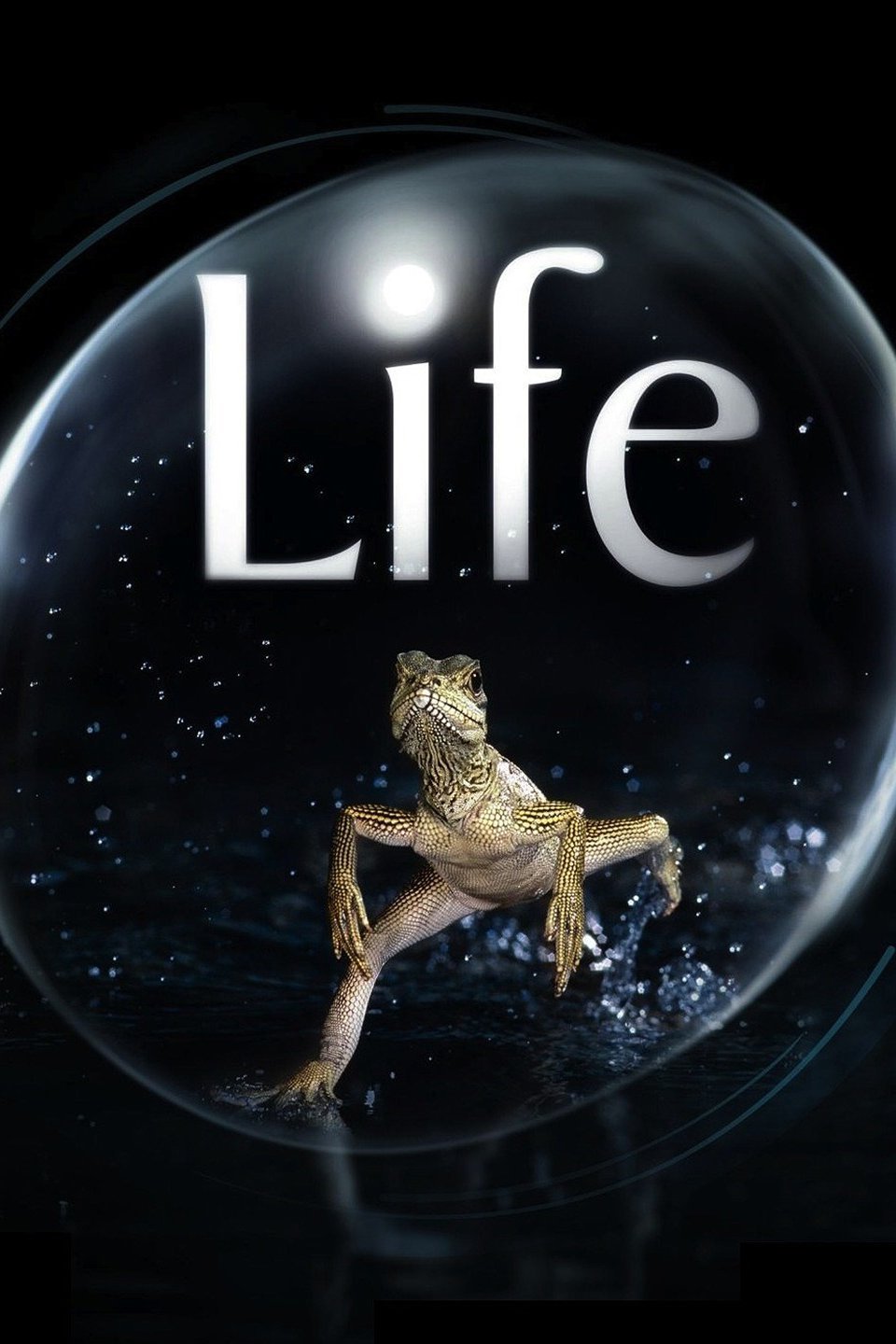 Life - Rotten Tomatoes