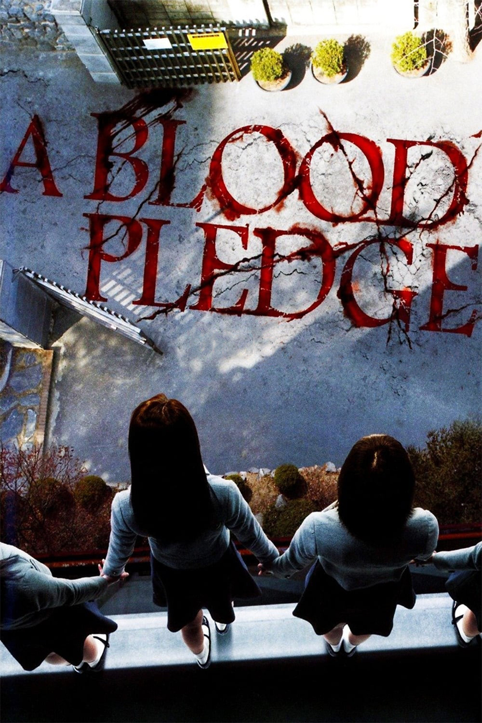 A Blood Pledge - Rotten Tomatoes