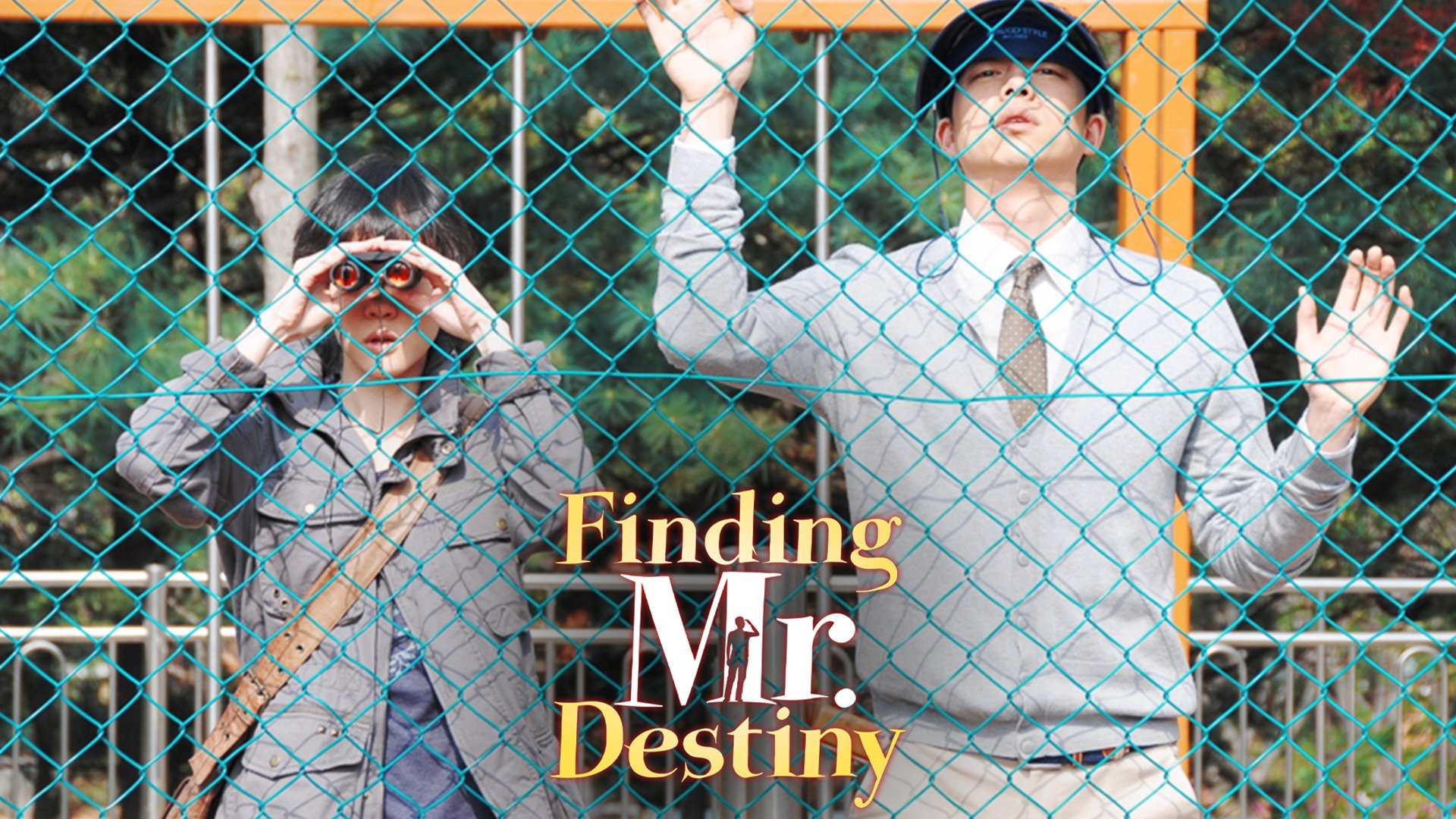 Finding Mr Destiny