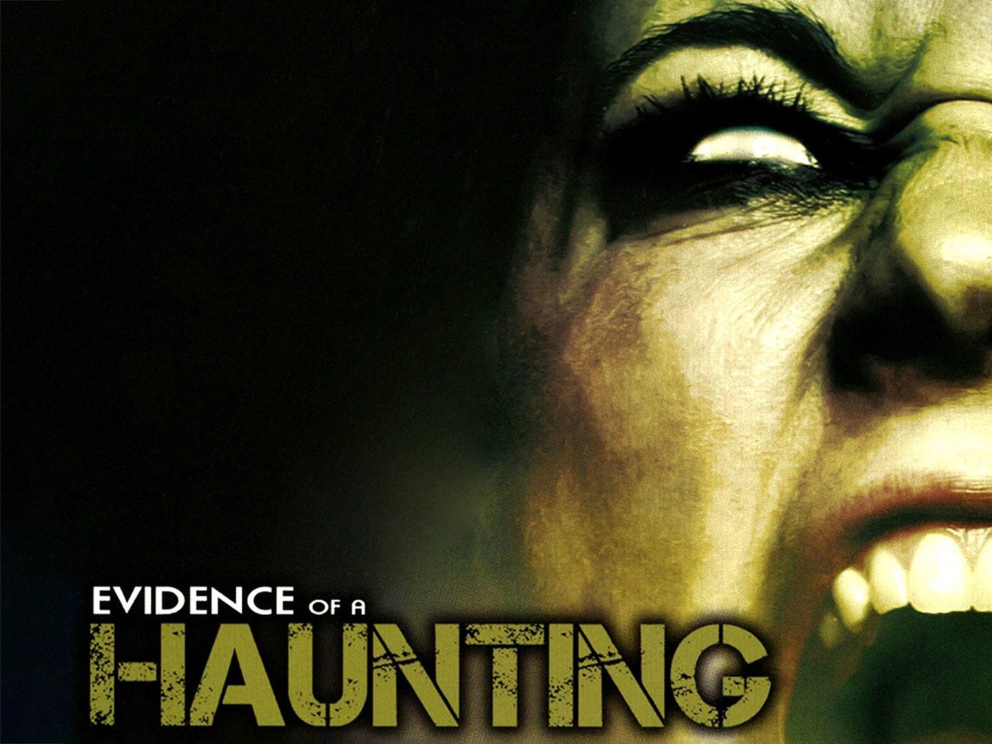 Evidence of a Haunting (2010) - Rotten Tomatoes