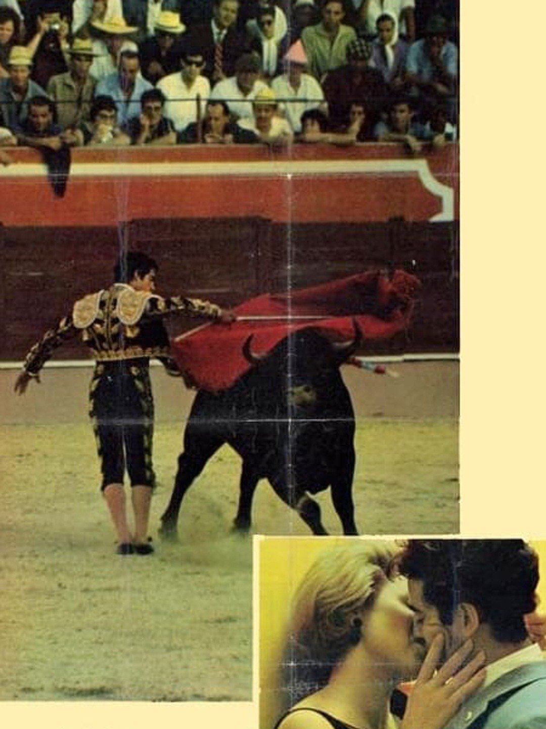 Bull Fighting Drama Kiss