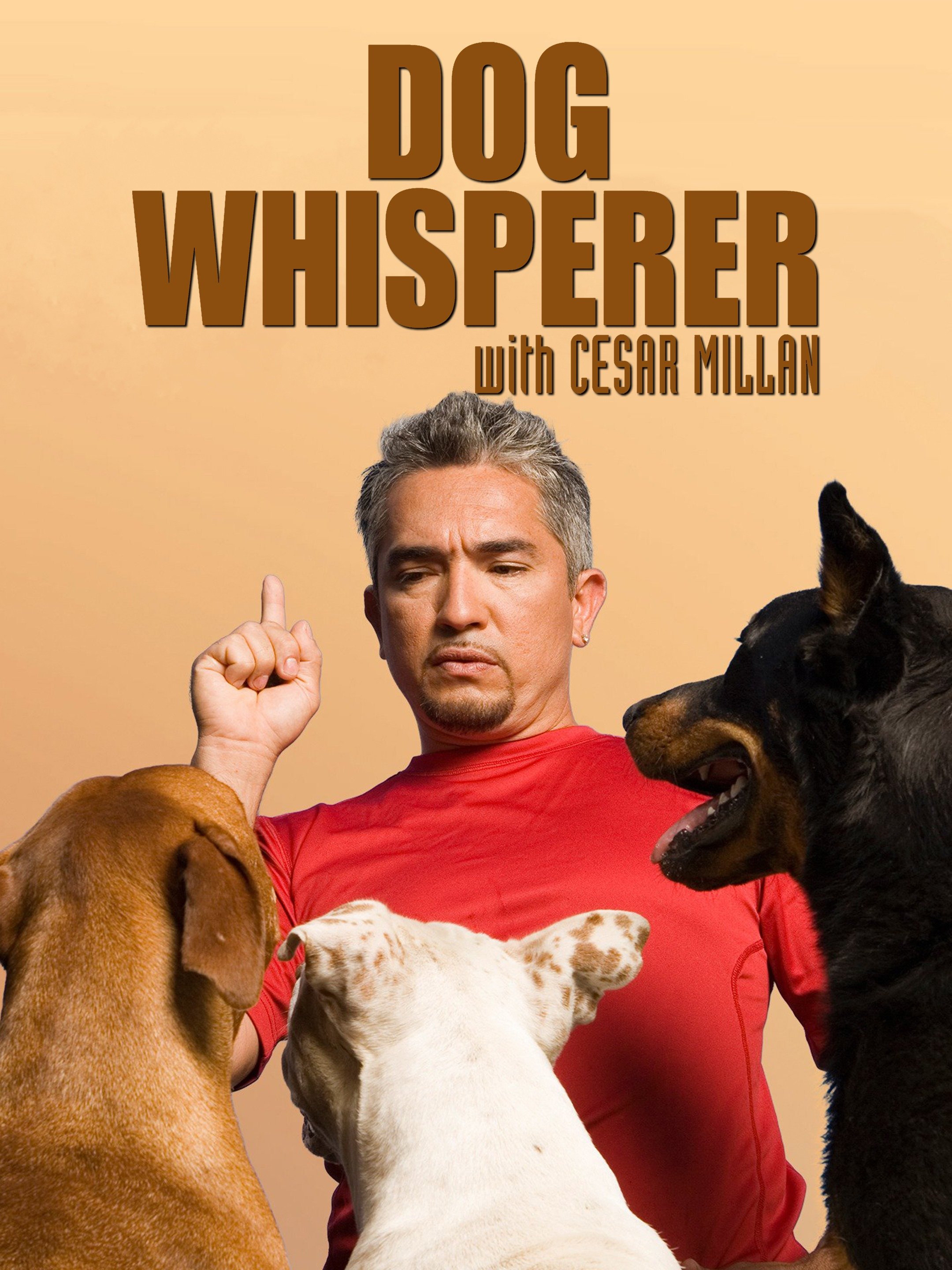 How Much Is Cesar Millan The Dog Whisperer Worth