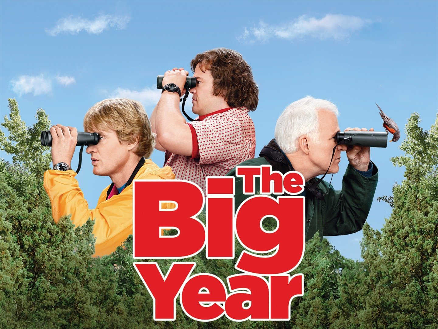 The Big Year Film Review | The Big Year Movie – VMJBZ