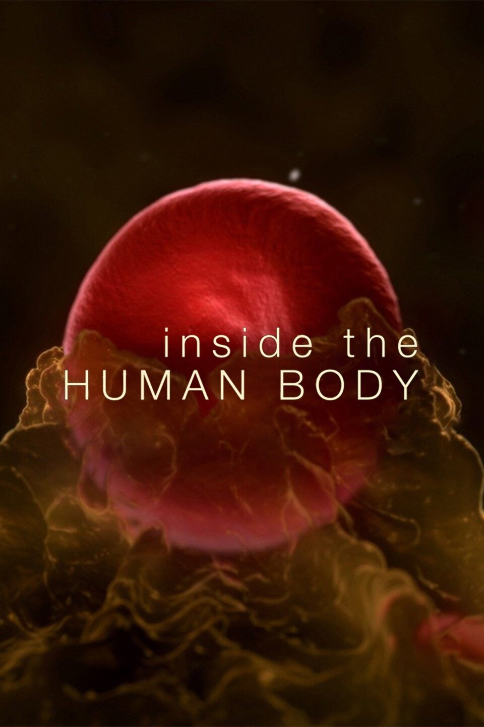 Inside the Human Body - Rotten Tomatoes