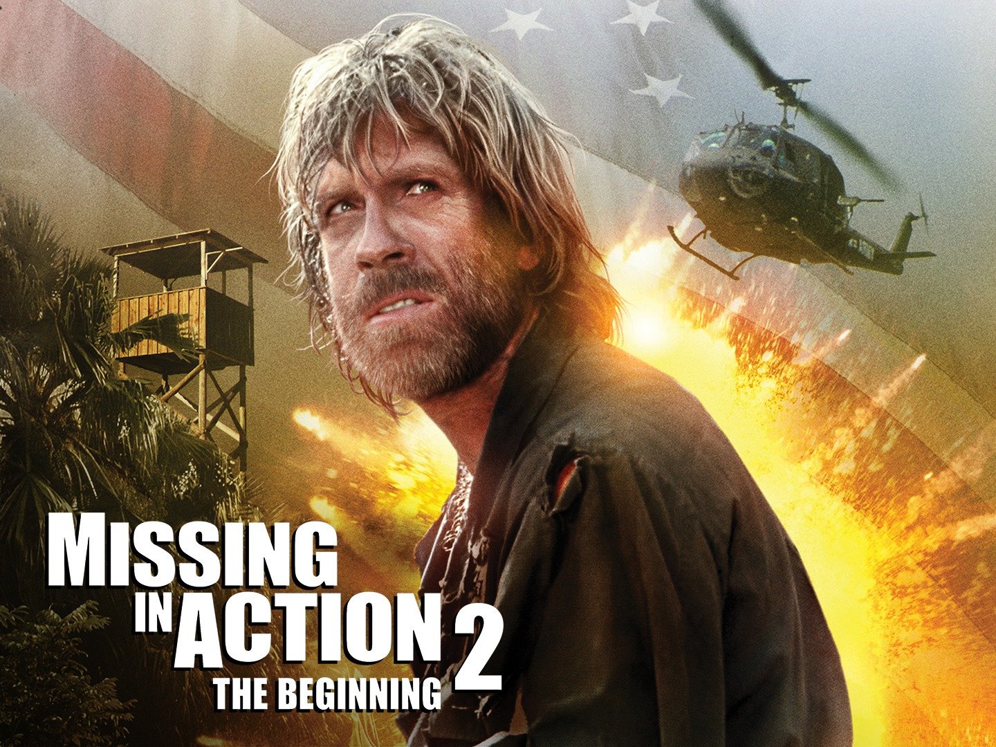 Missing In Action 2