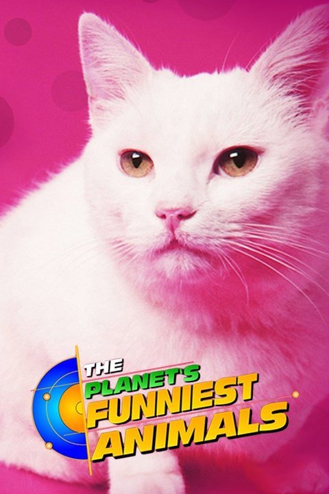 The Planet's Funniest Animals - Rotten Tomatoes