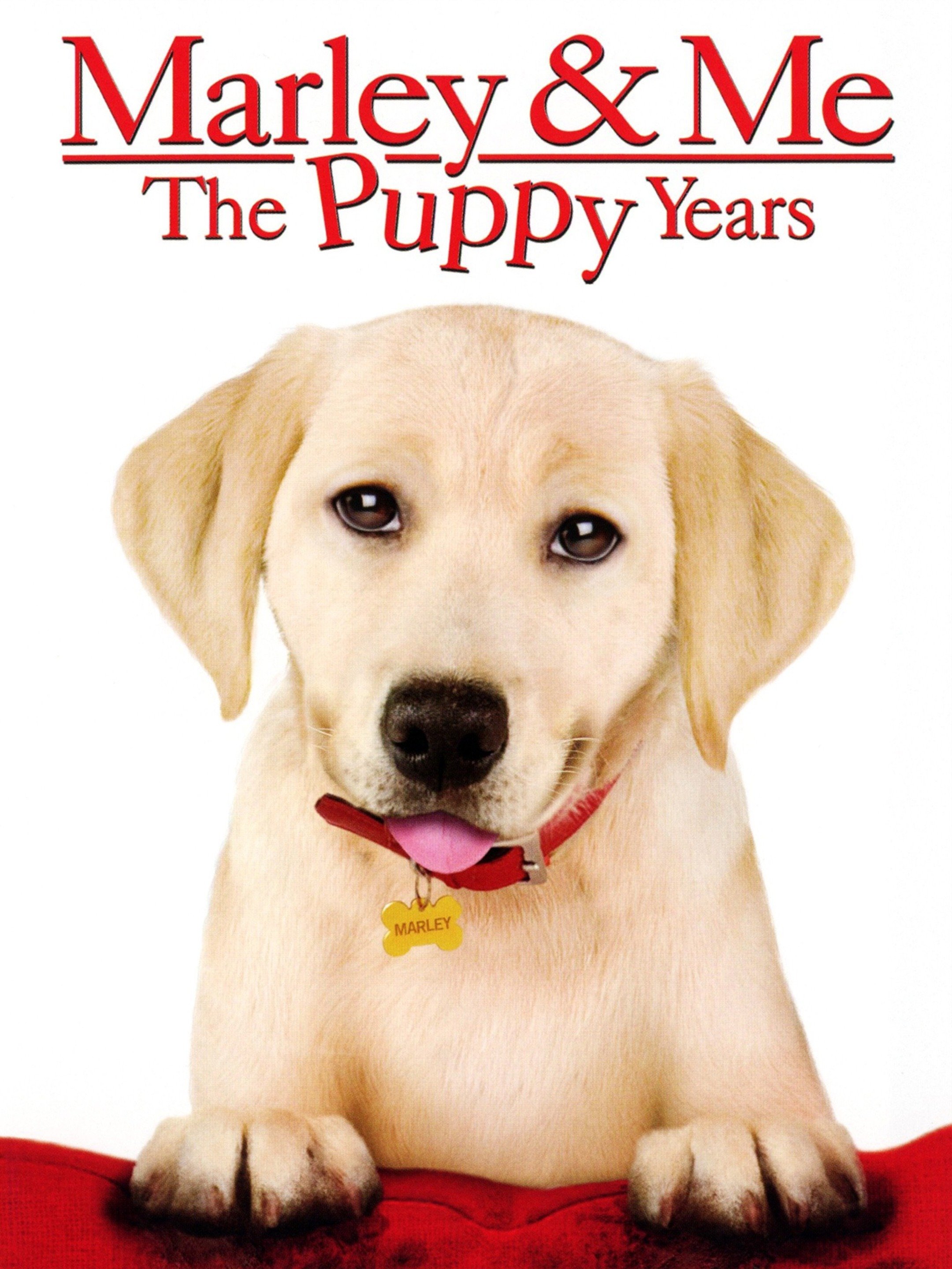 Marley And Me Cast