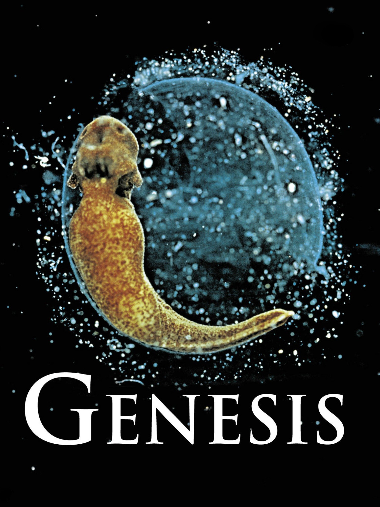 Genesis (2004) - Rotten Tomatoes