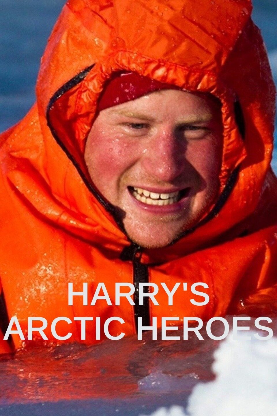Harry's Arctic Heroes - Rotten Tomatoes