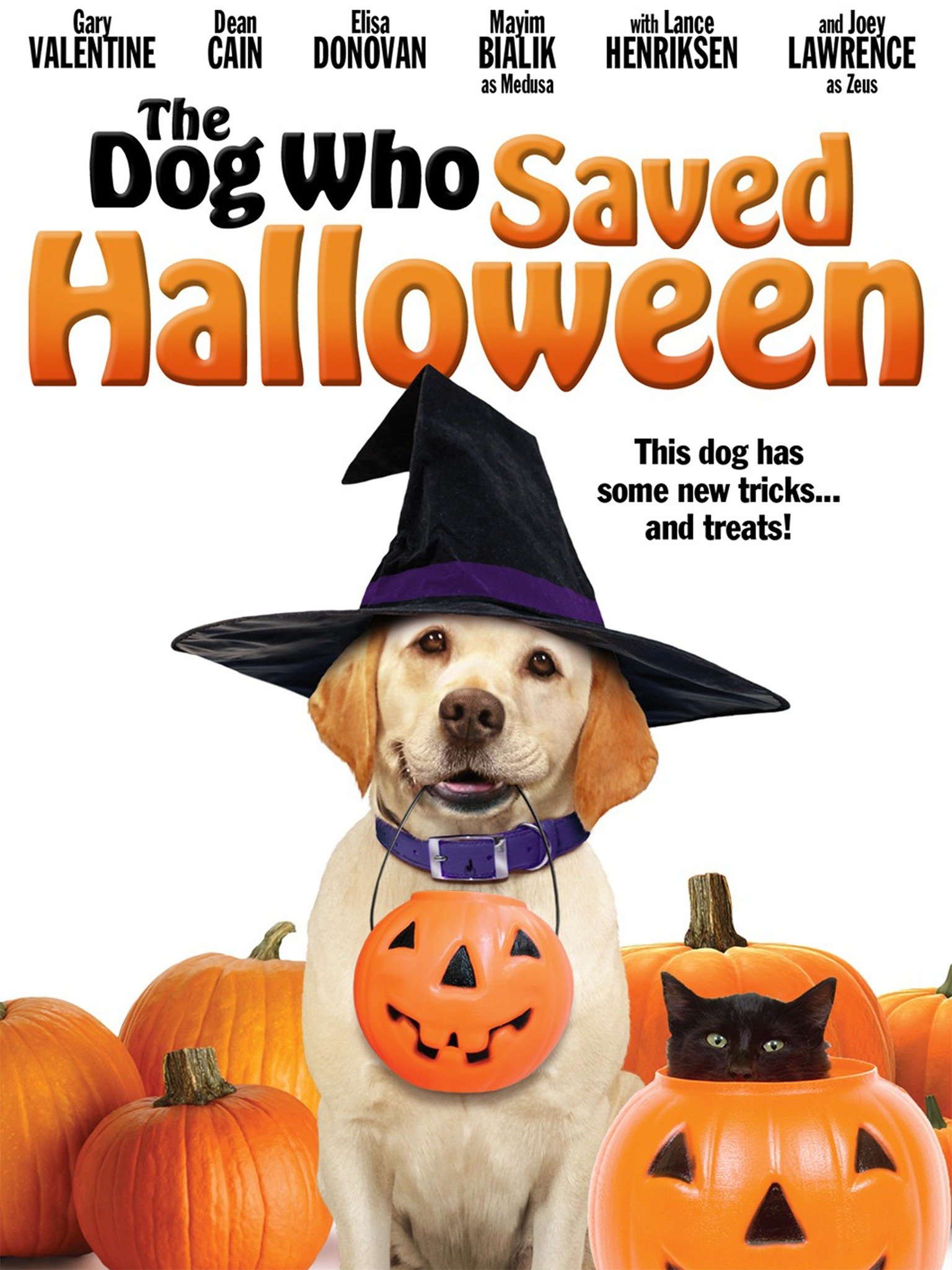 The Dog Who Saved Halloween 2011 Rotten Tomatoes the-dog-who-saved-halloween-2011-rotten-tomatoes