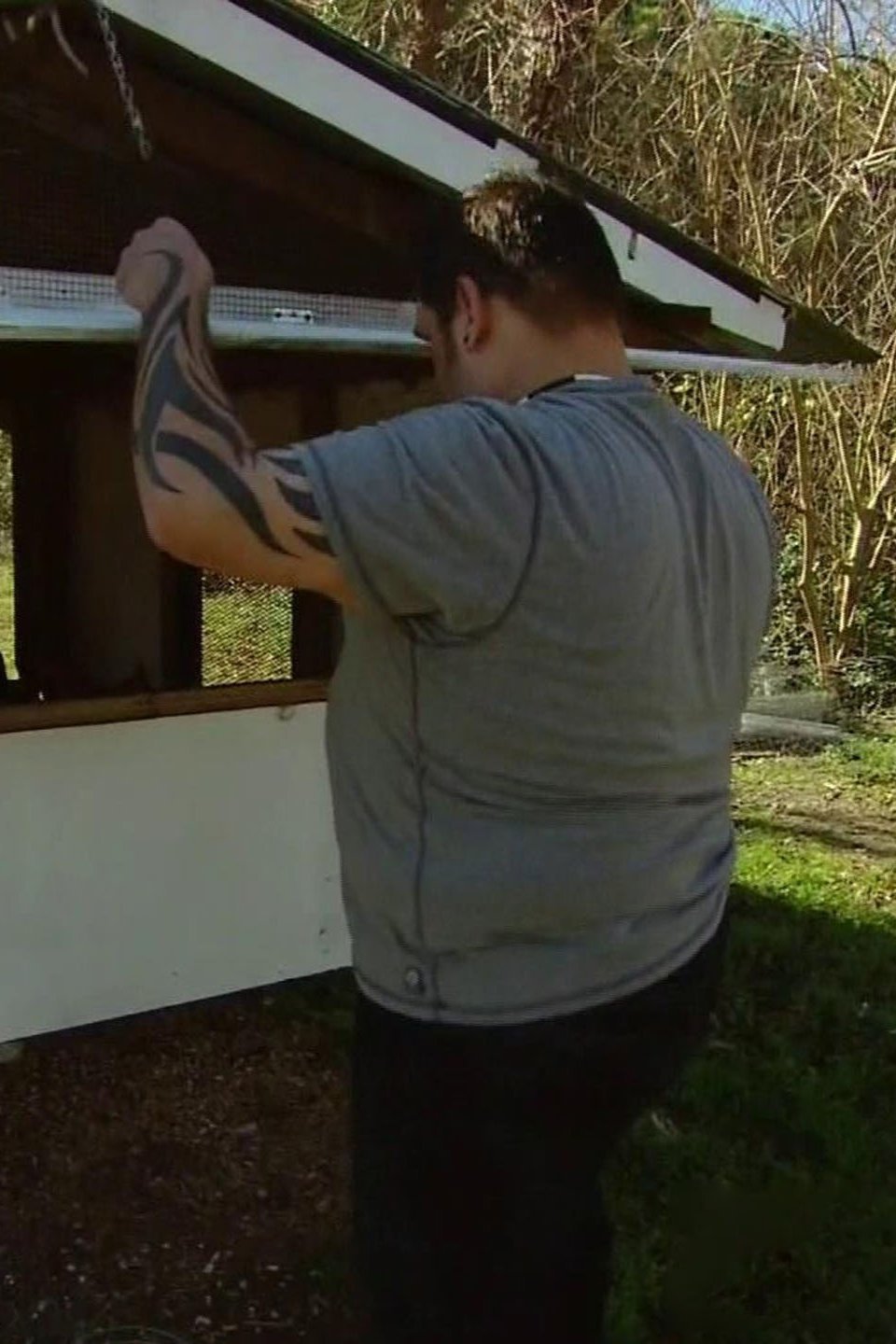 Breeder Pictures - Rotten Tomatoes