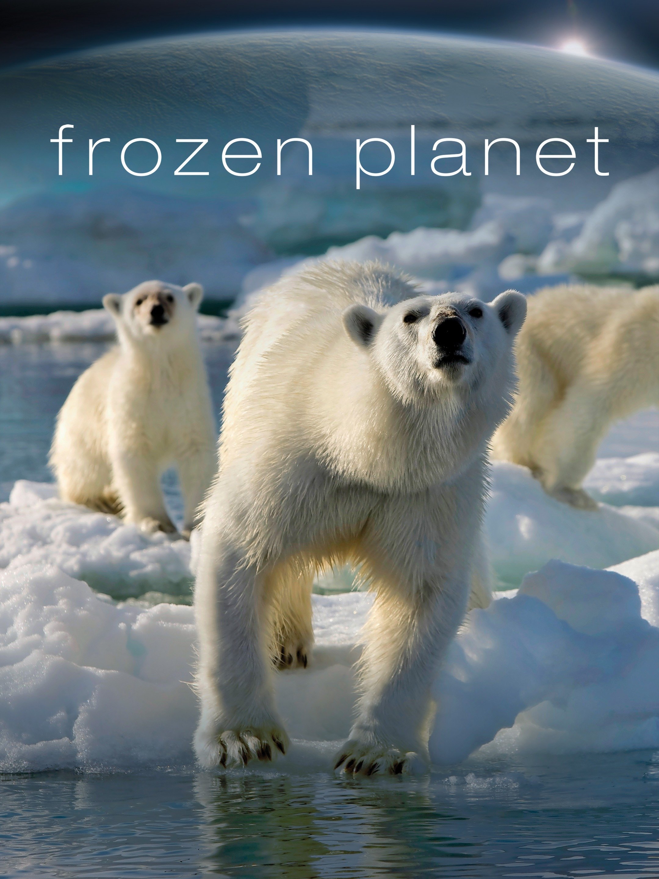 Frozen Planet - Rotten Tomatoes