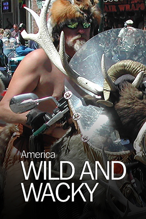 America Wild and Wacky - Rotten Tomatoes