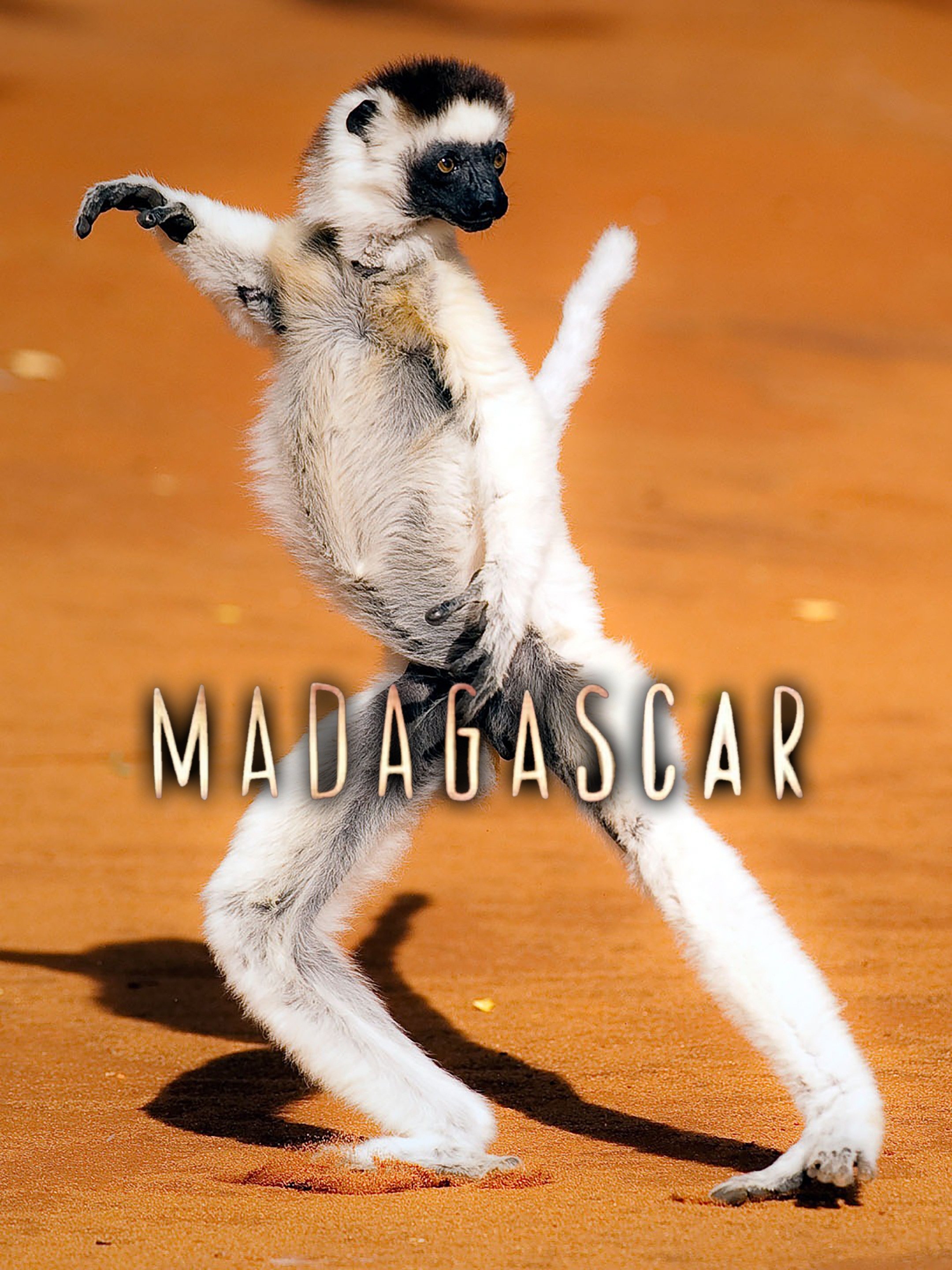 Madagascar - Rotten Tomatoes