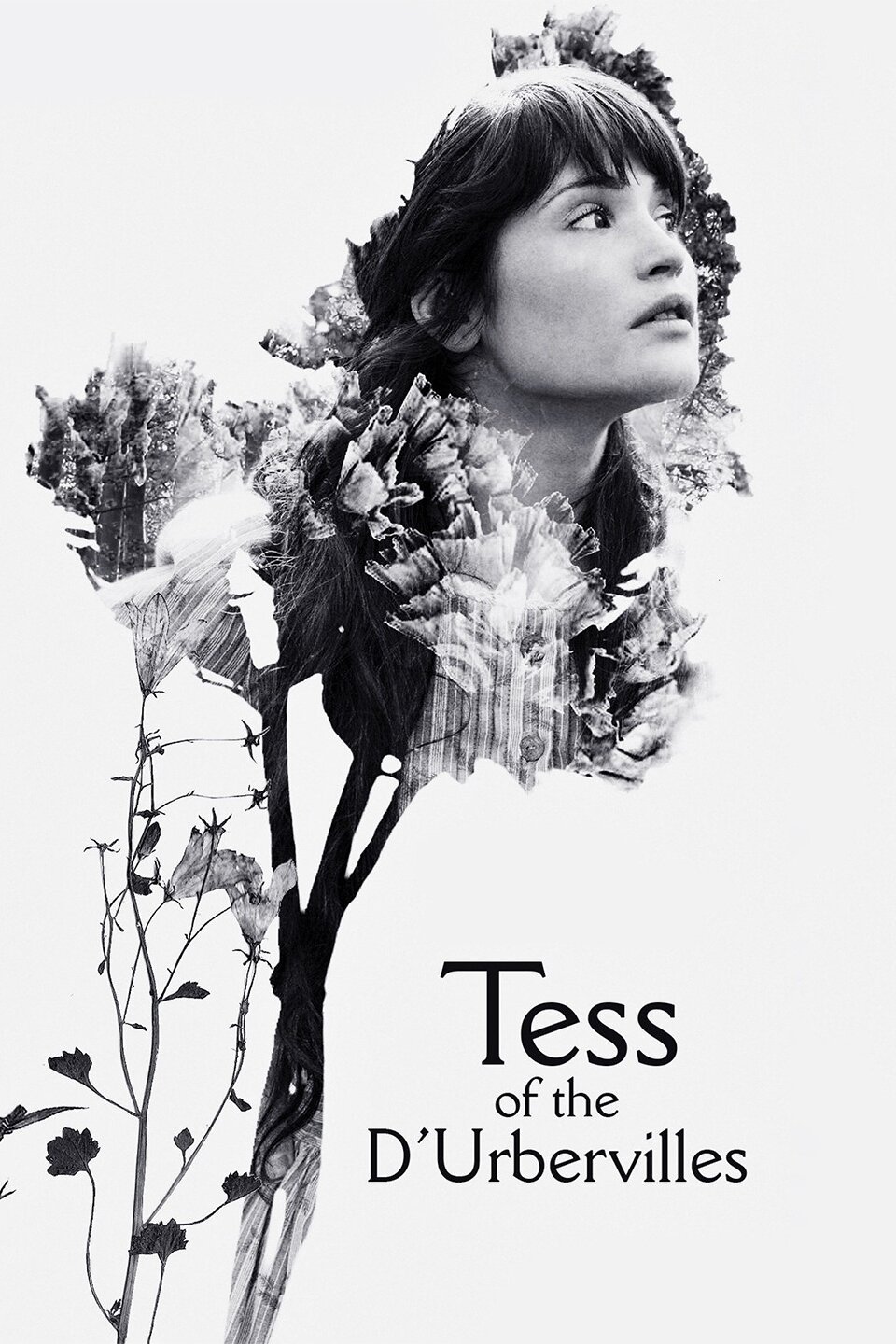 Tess of the D'Urbervilles - Rotten Tomatoes