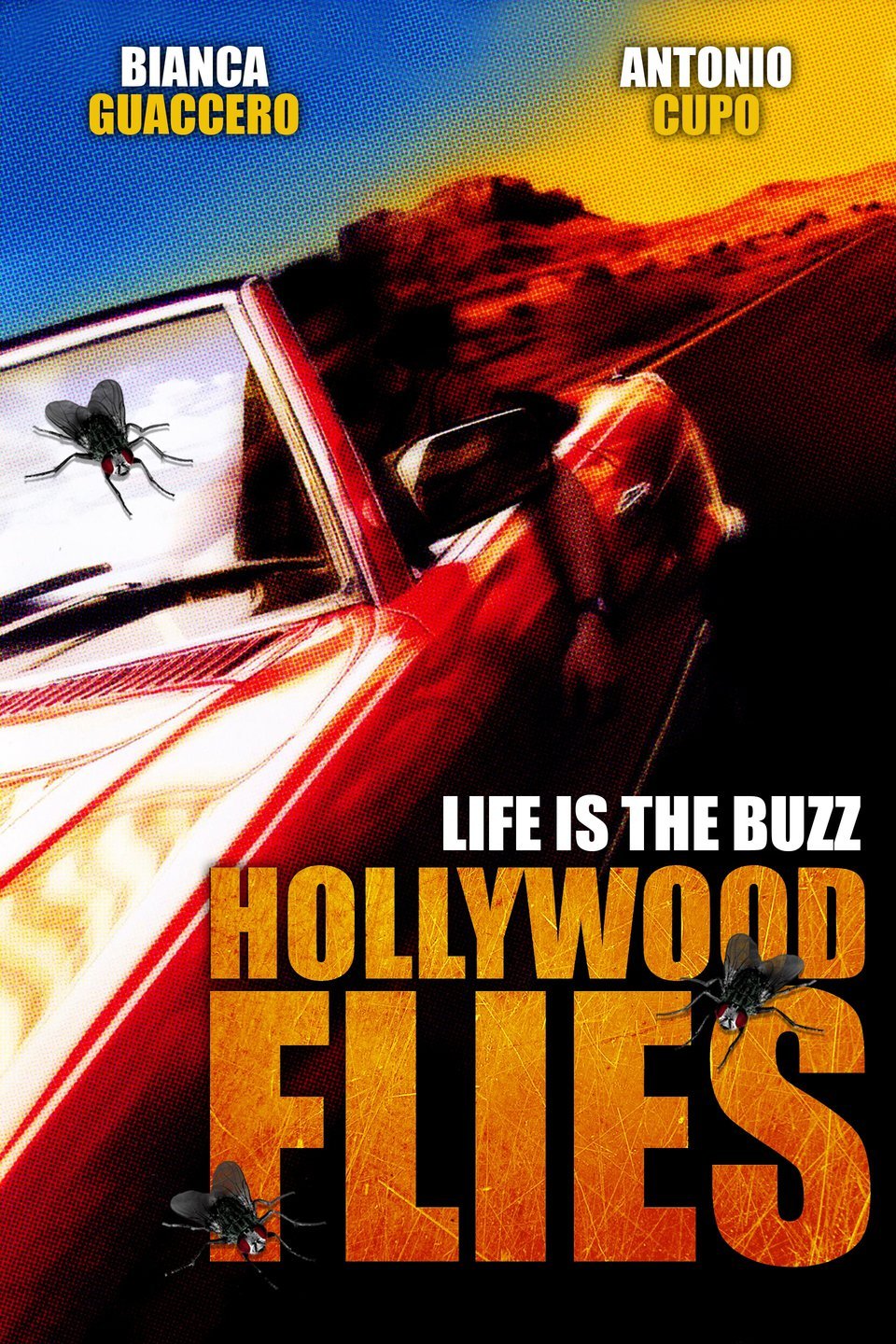 Hollywood Flies - Rotten Tomatoes