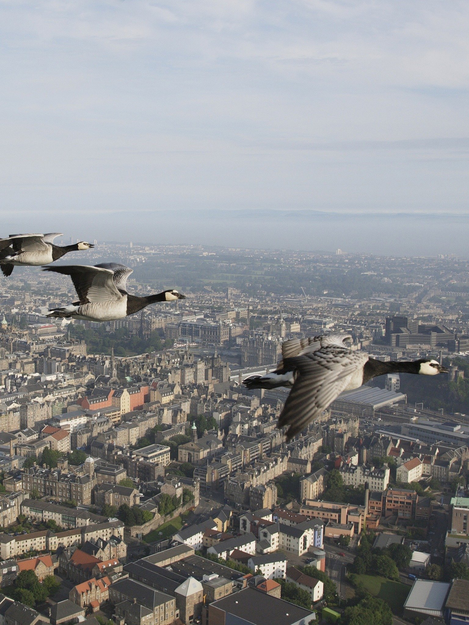 Europe Pictures - Rotten Tomatoes