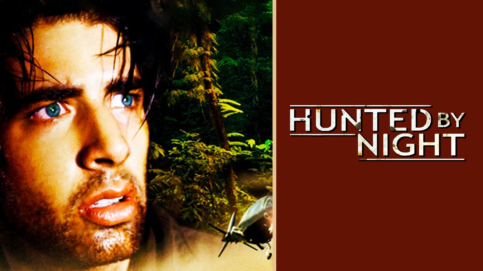 Hunted By Night Imdb