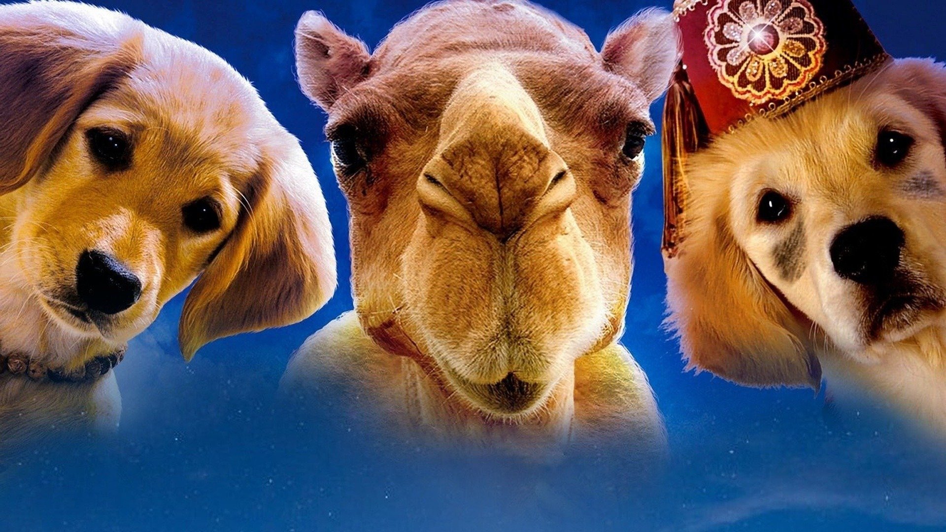 Treasure Buddies Poster