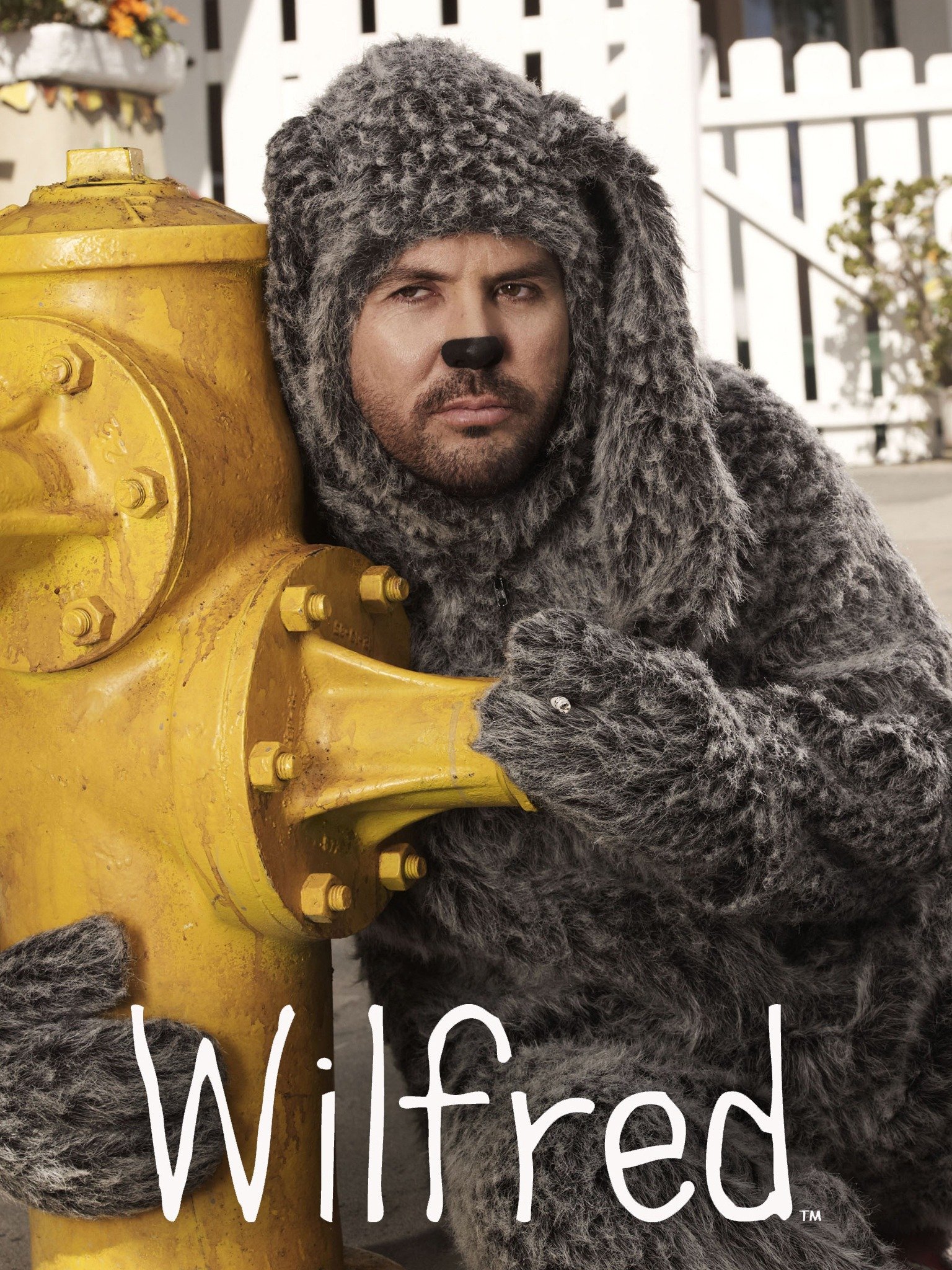 Wilfred - Rotten Tomatoes