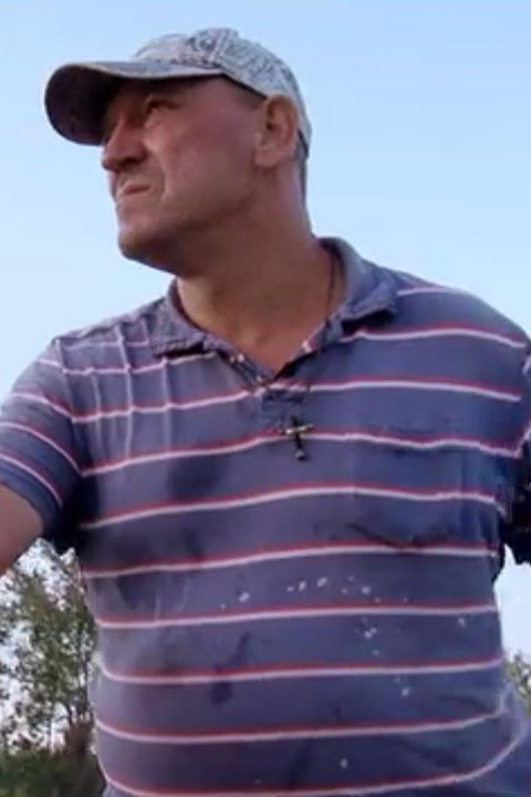 No Guts, No Gator Pictures - Rotten Tomatoes