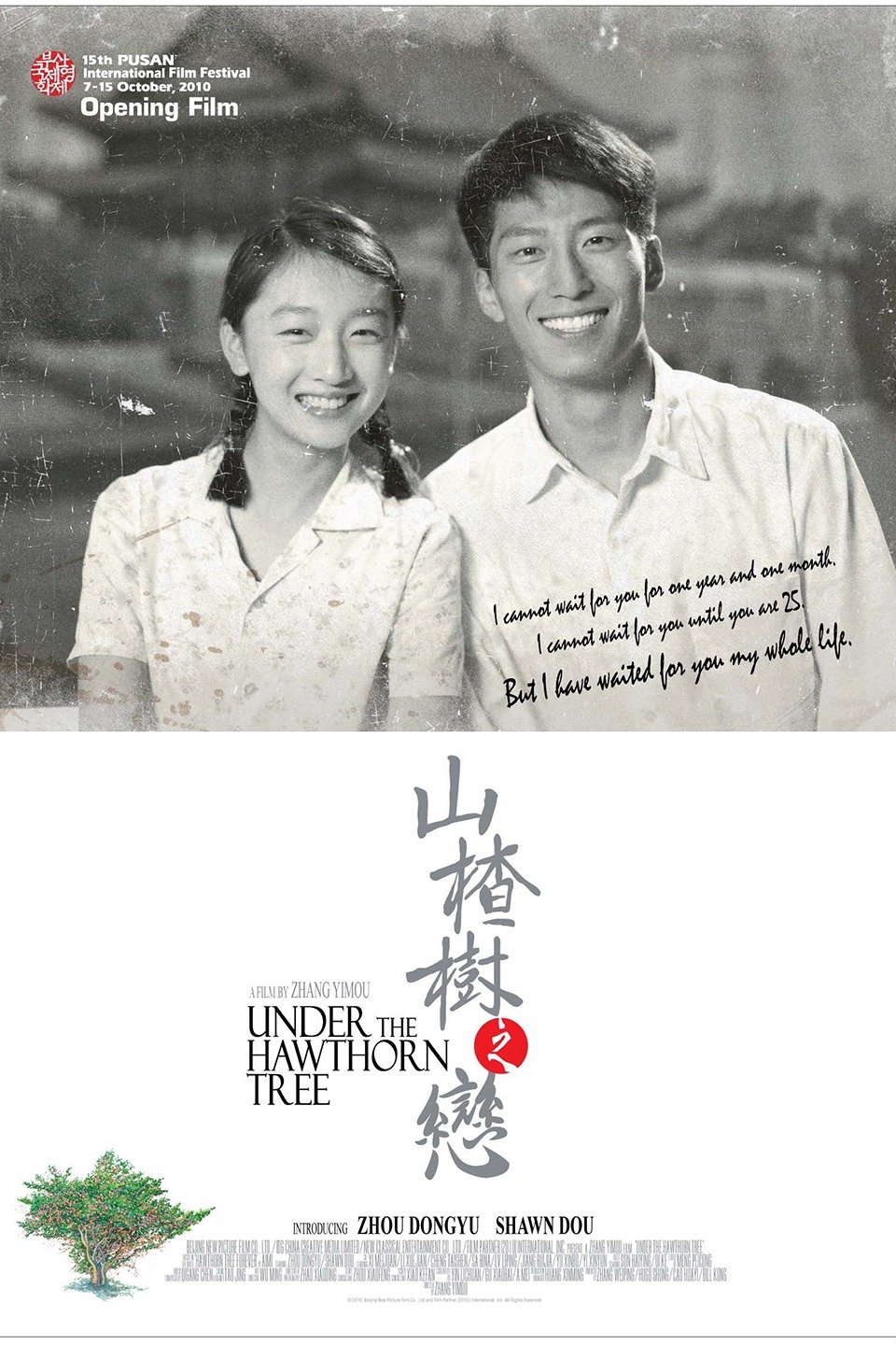 Under the Hawthorn Tree - Rotten Tomatoes