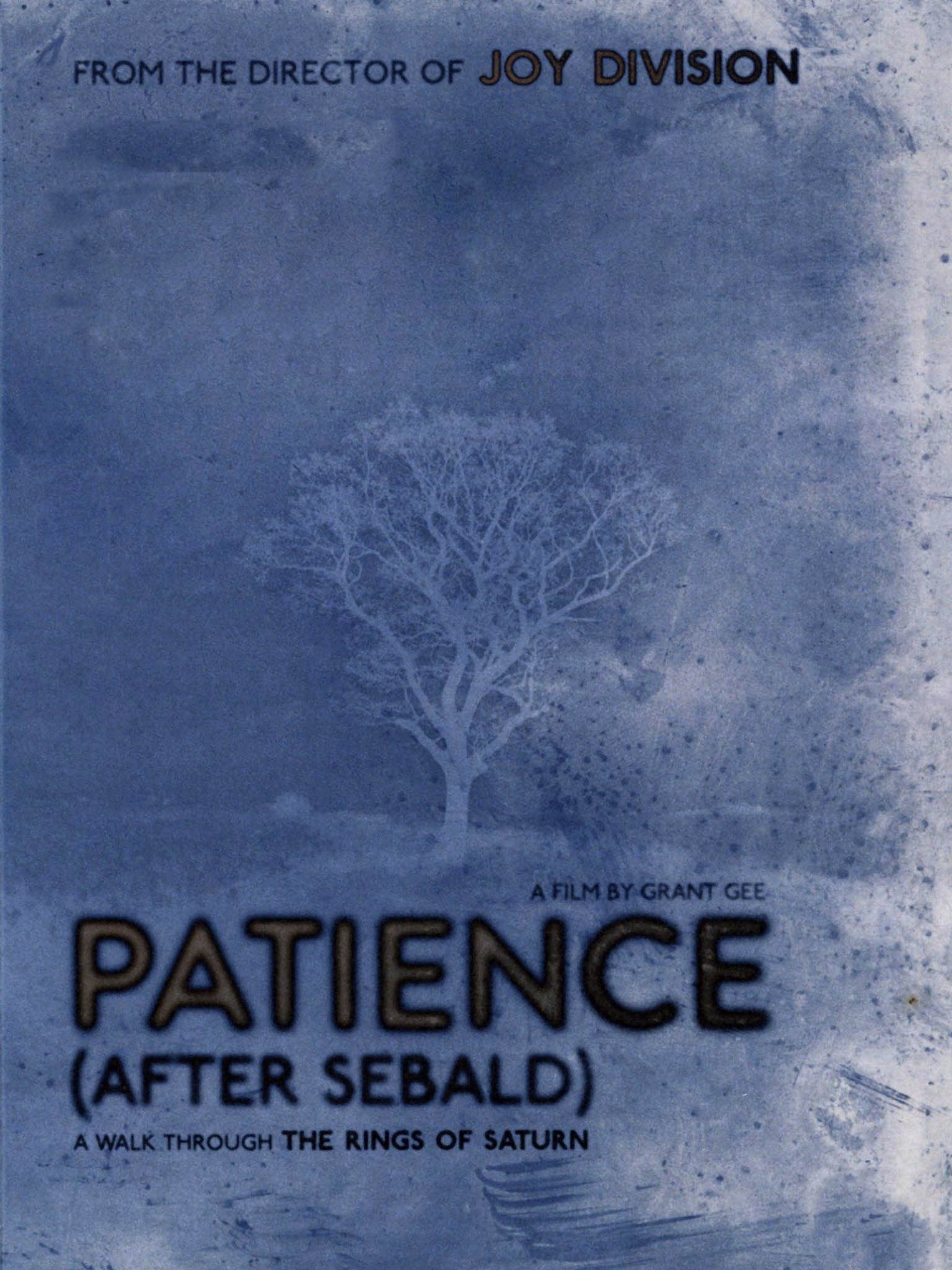 Patience (After Sebald) (2012) - Rotten Tomatoes