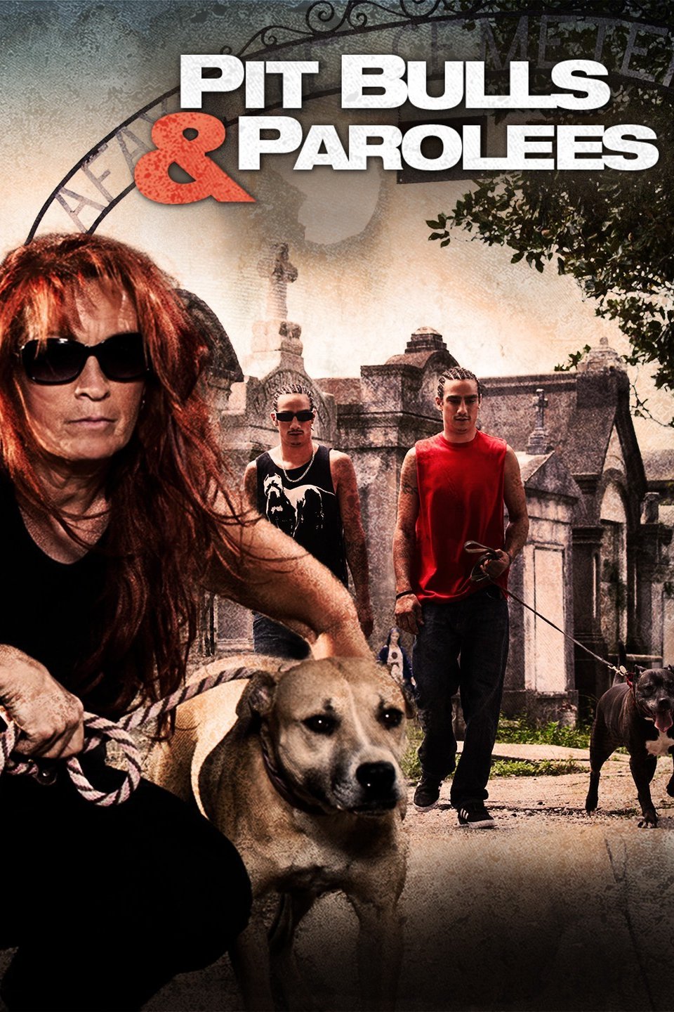 Pitbulls And Parolees Season 19