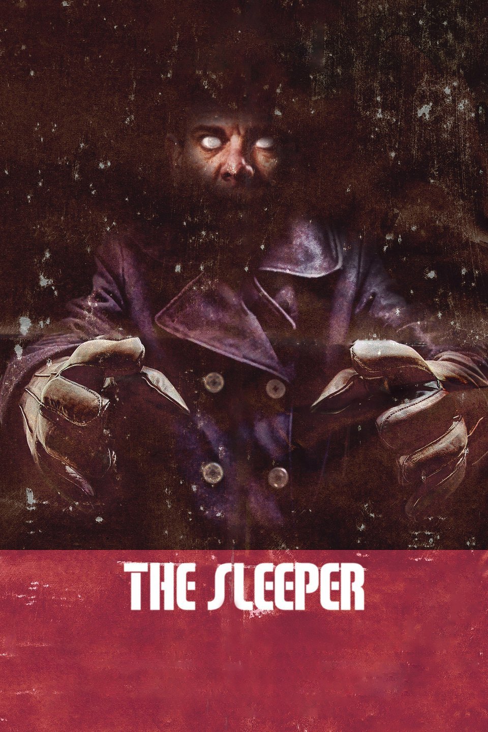 The Sleeper - Rotten Tomatoes