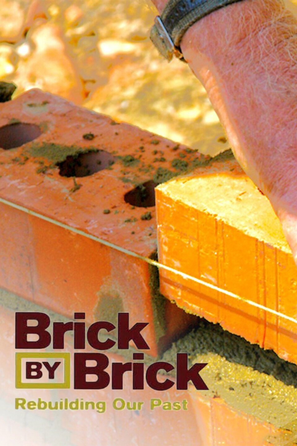 Brick by Brick: Rebuilding Our Past - Rotten Tomatoes