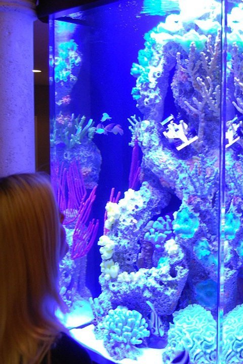 Finsanity Pictures - Rotten Tomatoes