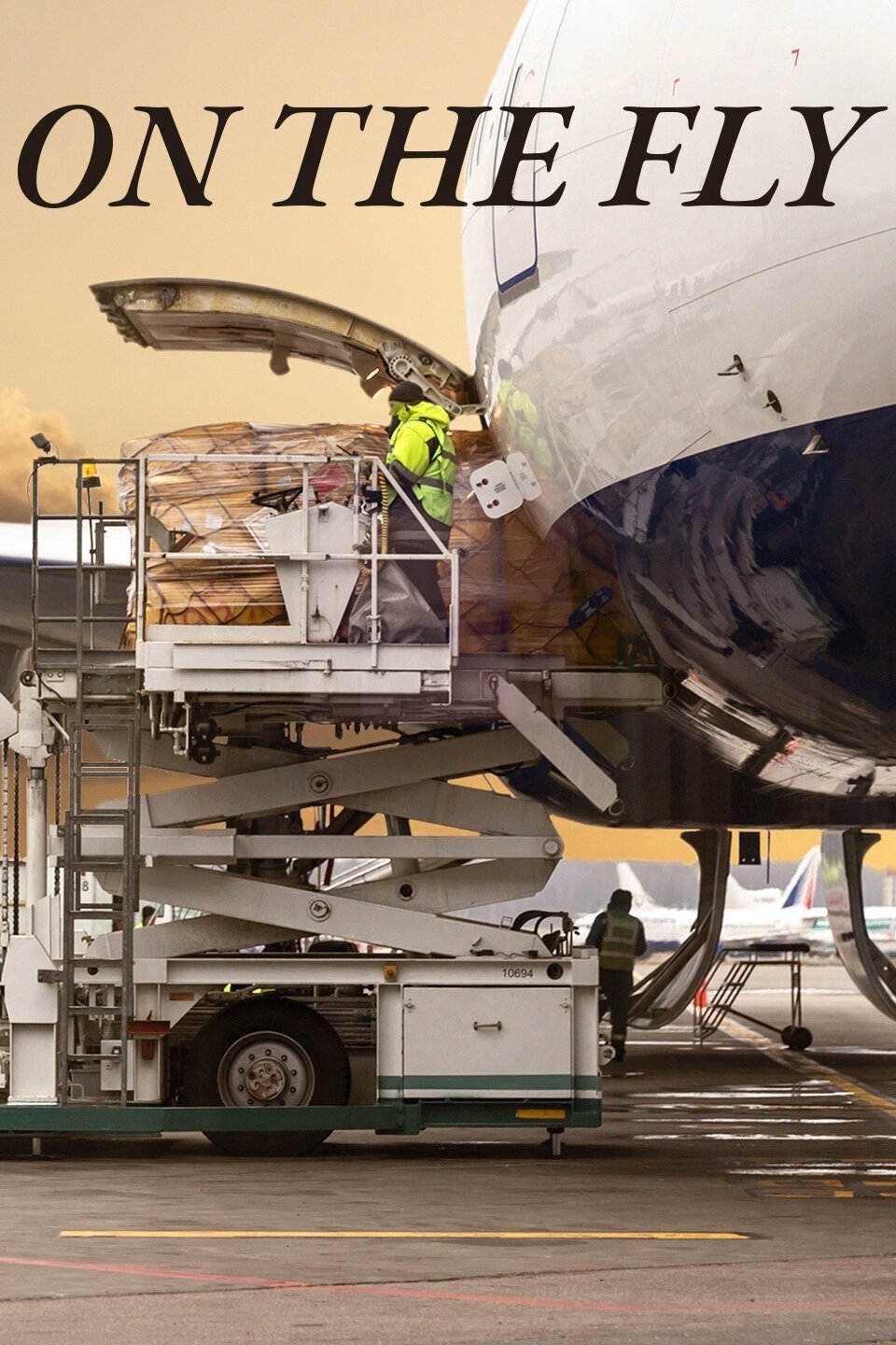 On the Fly - Rotten Tomatoes