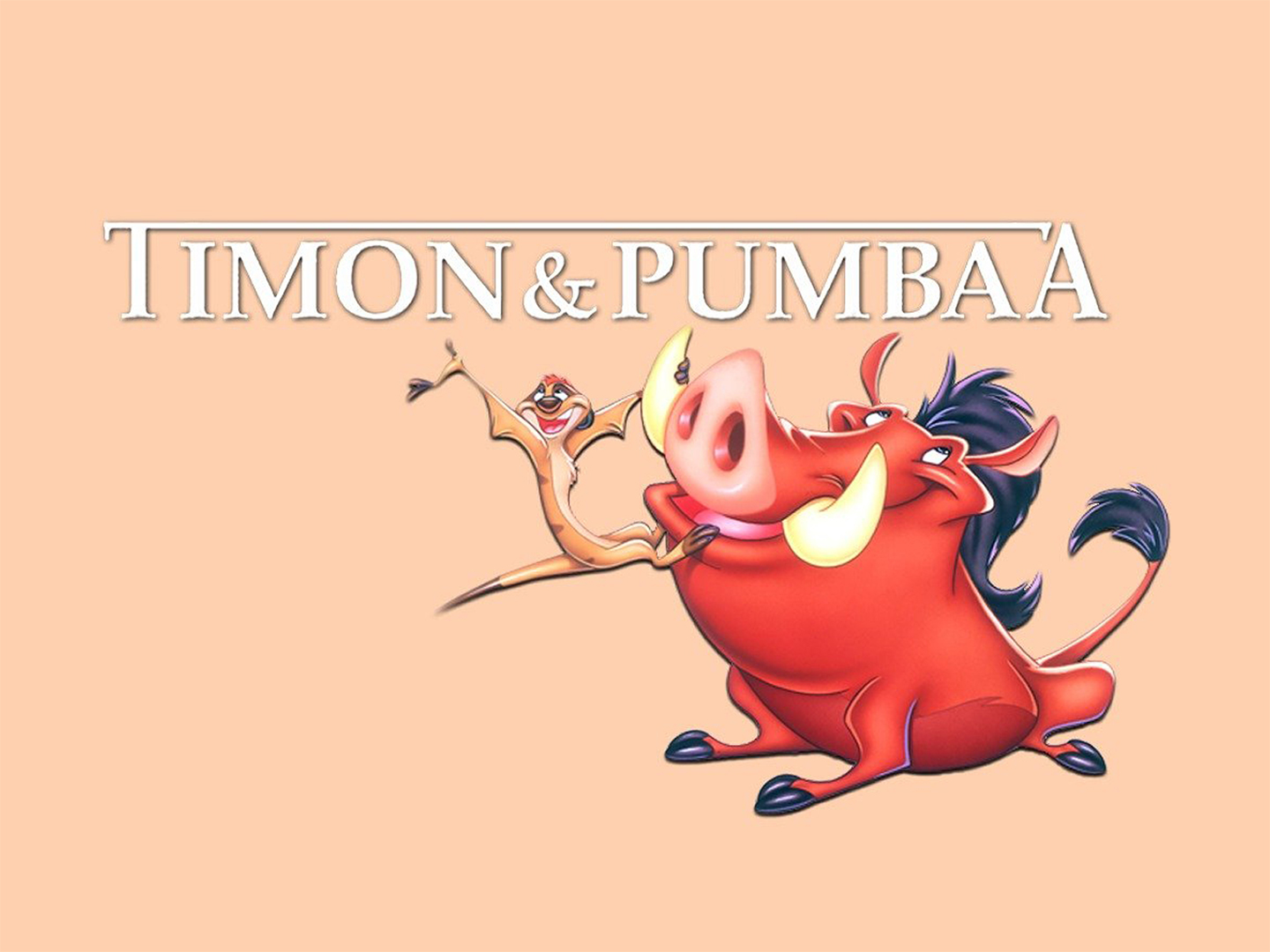 Timon And Pumbaa Best Friends