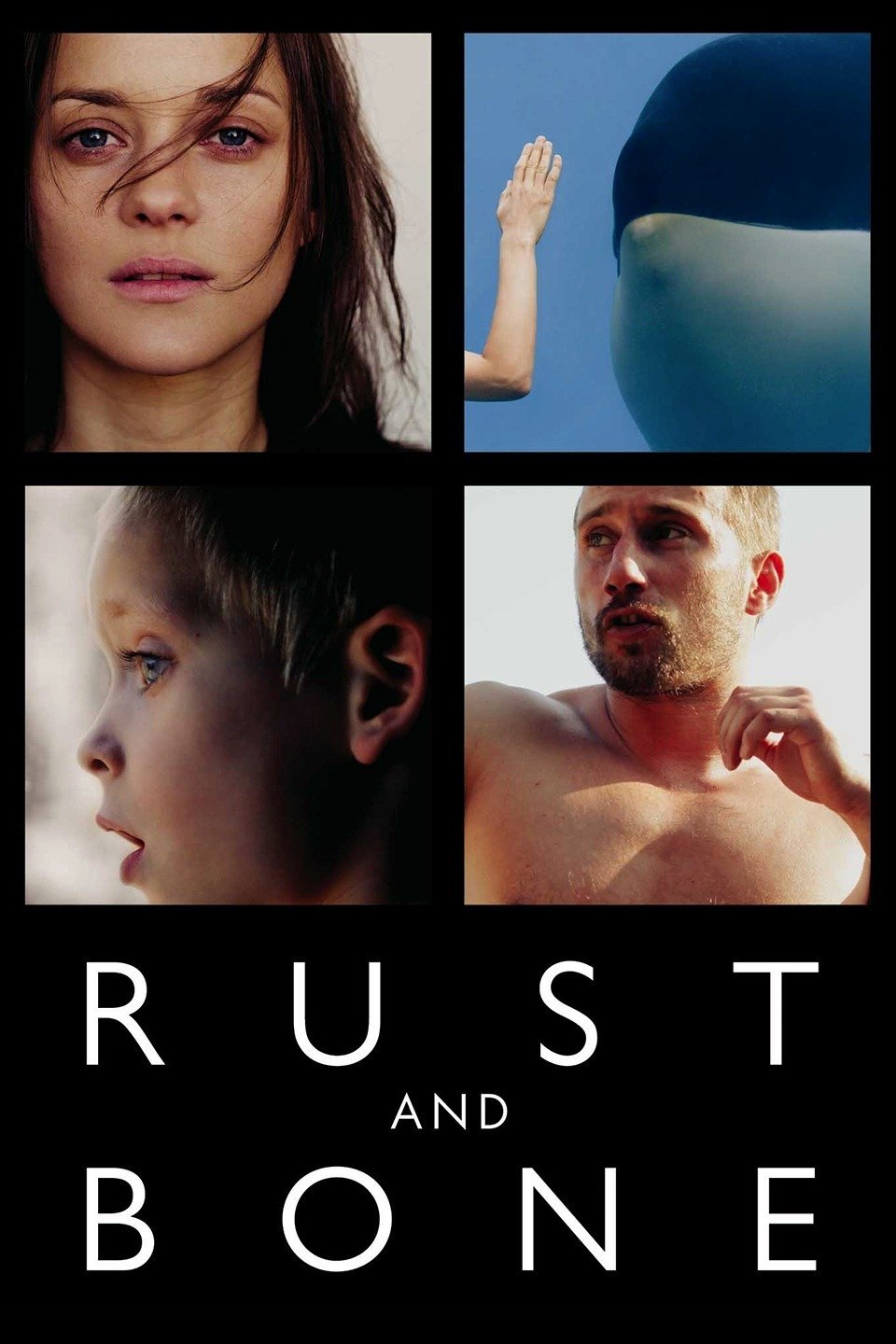 Rust And Bone No Legs